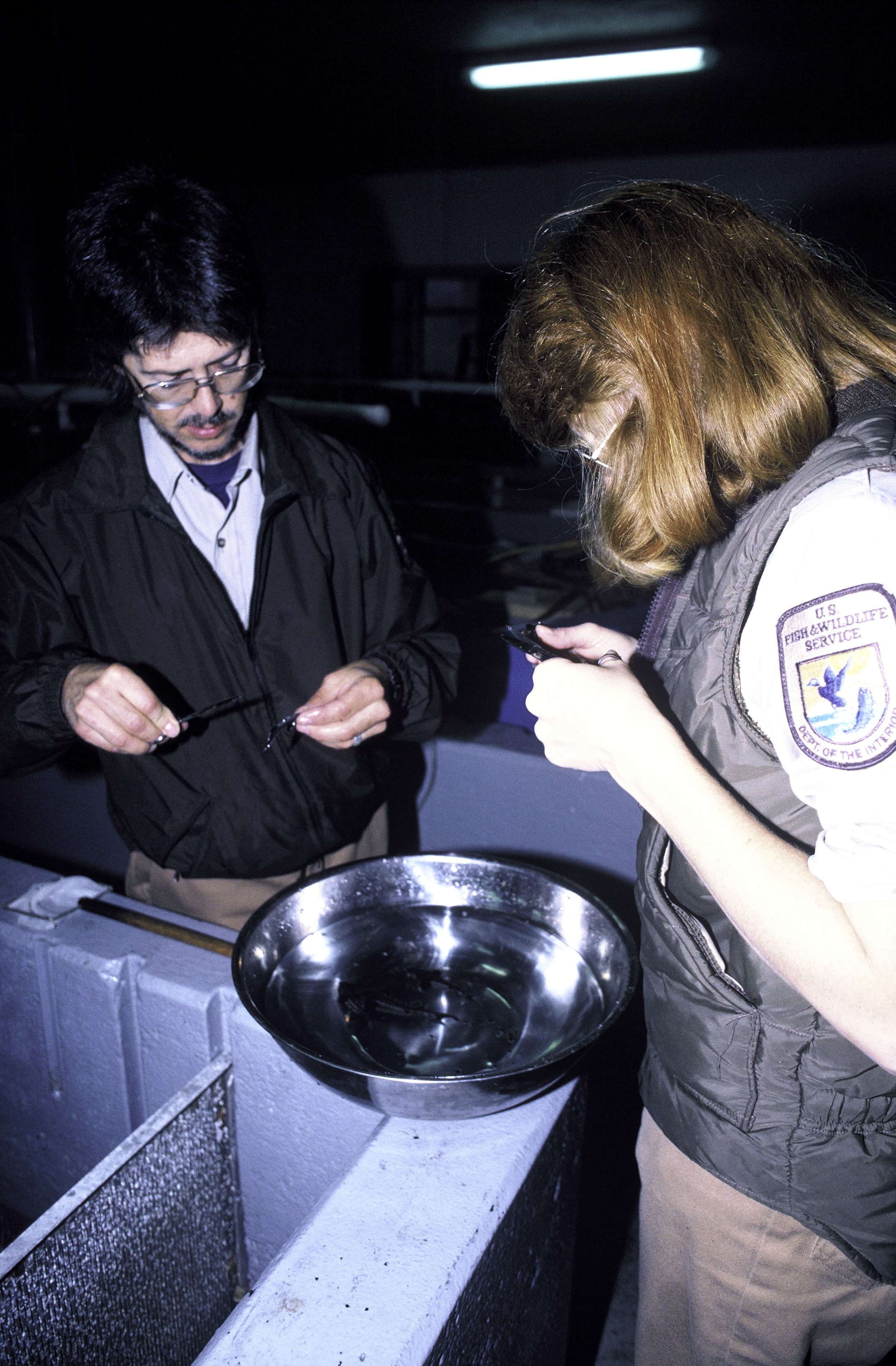 Lamar National Fish Hatchery | FWS.gov