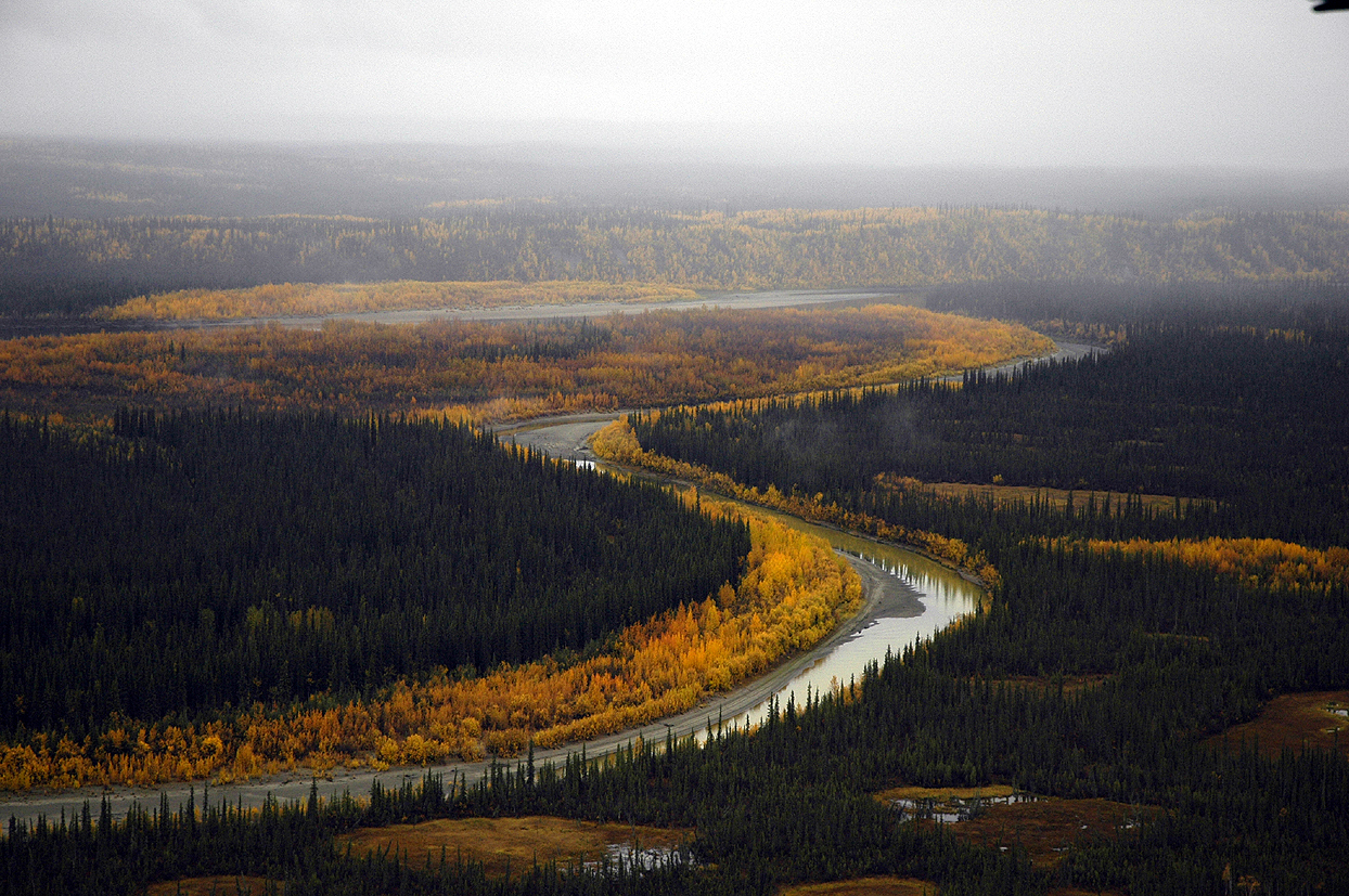 South Fork of Koyukuk River | FWS.gov