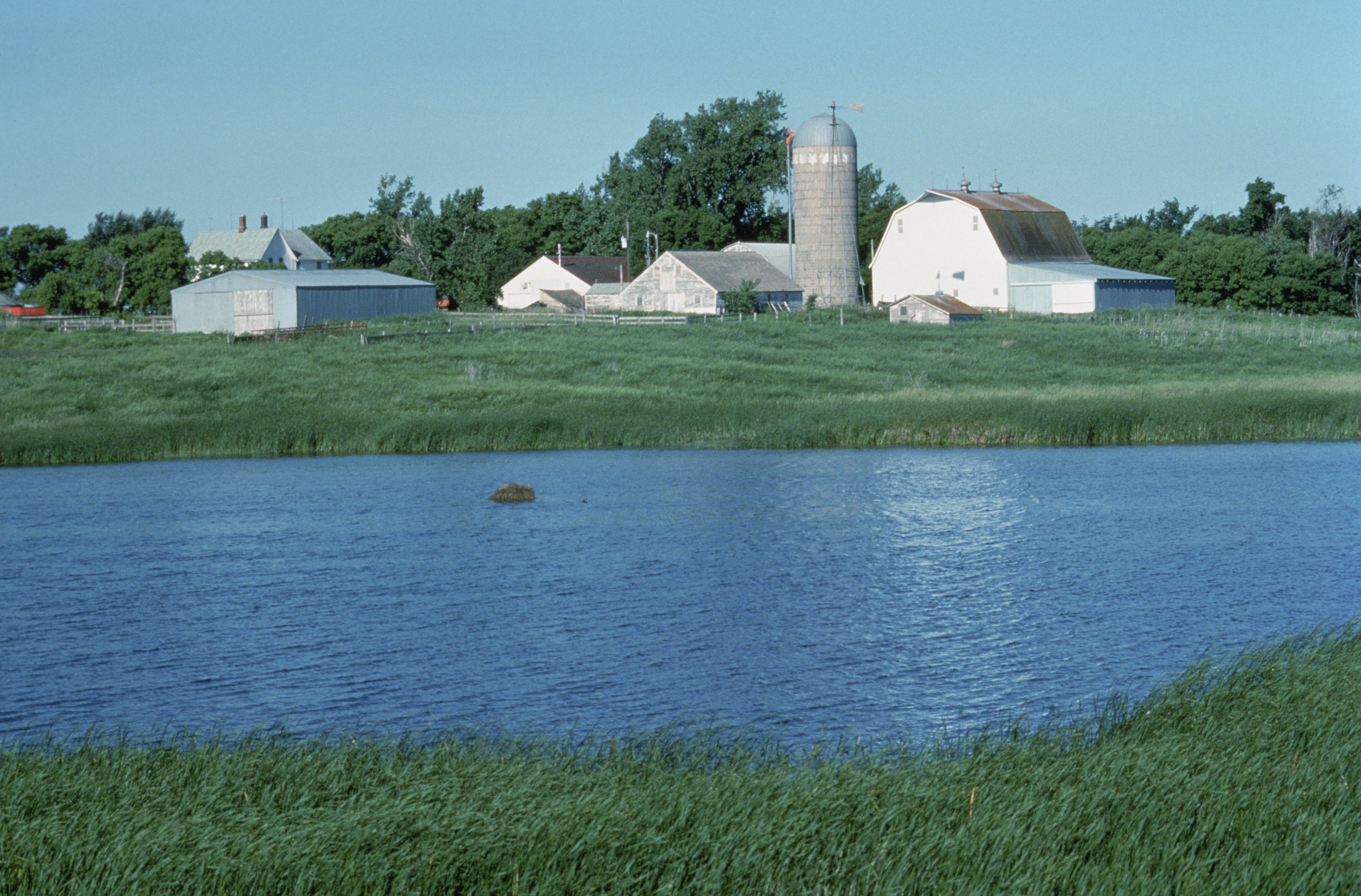 Wetlands, upper midwest | FWS.gov