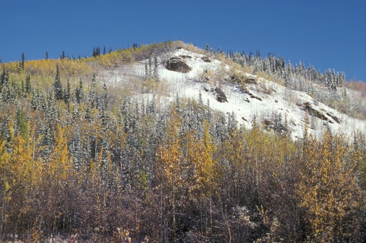 Tetlin National Wildlife Refuge | FWS.gov