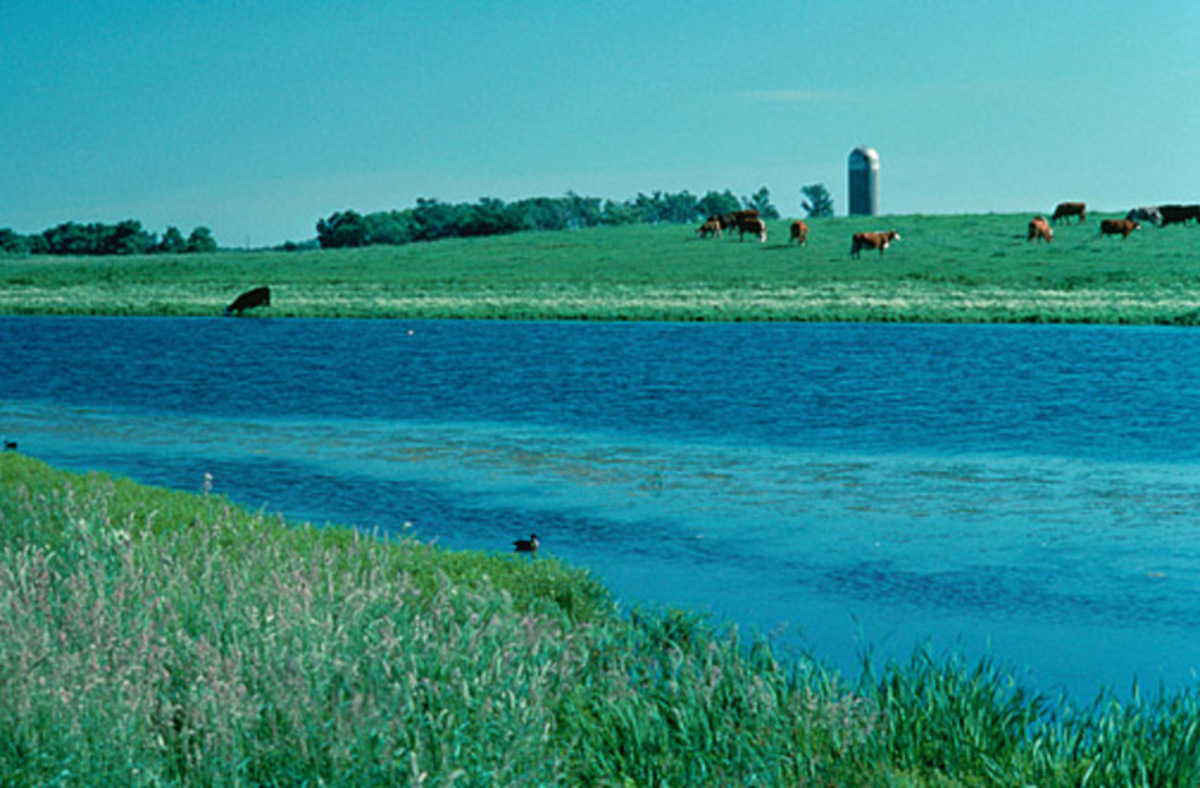 Wetlands, Upper midwest | FWS.gov
