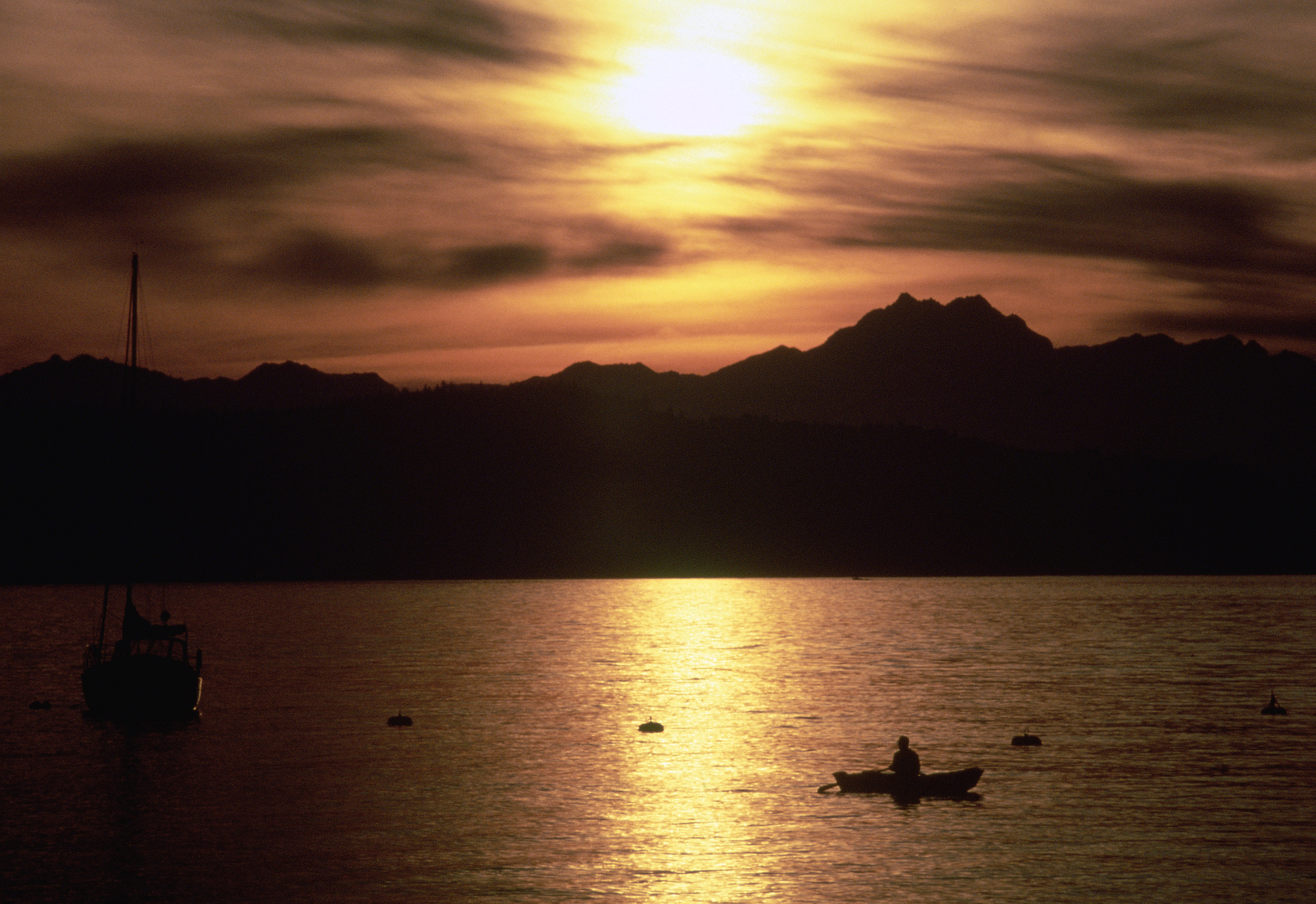 Safe Harbor | FWS.gov