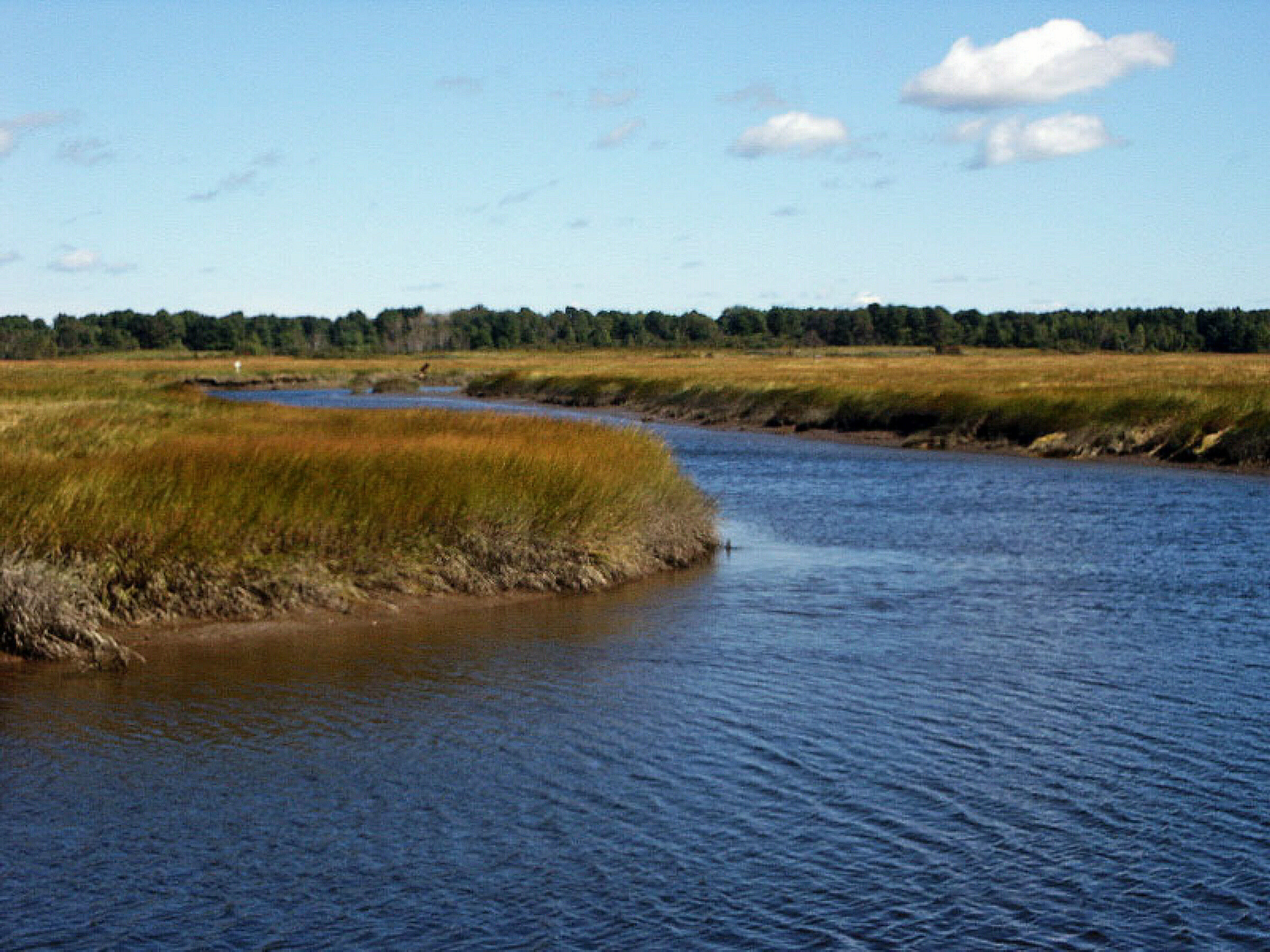 Scarborough marsh | FWS.gov