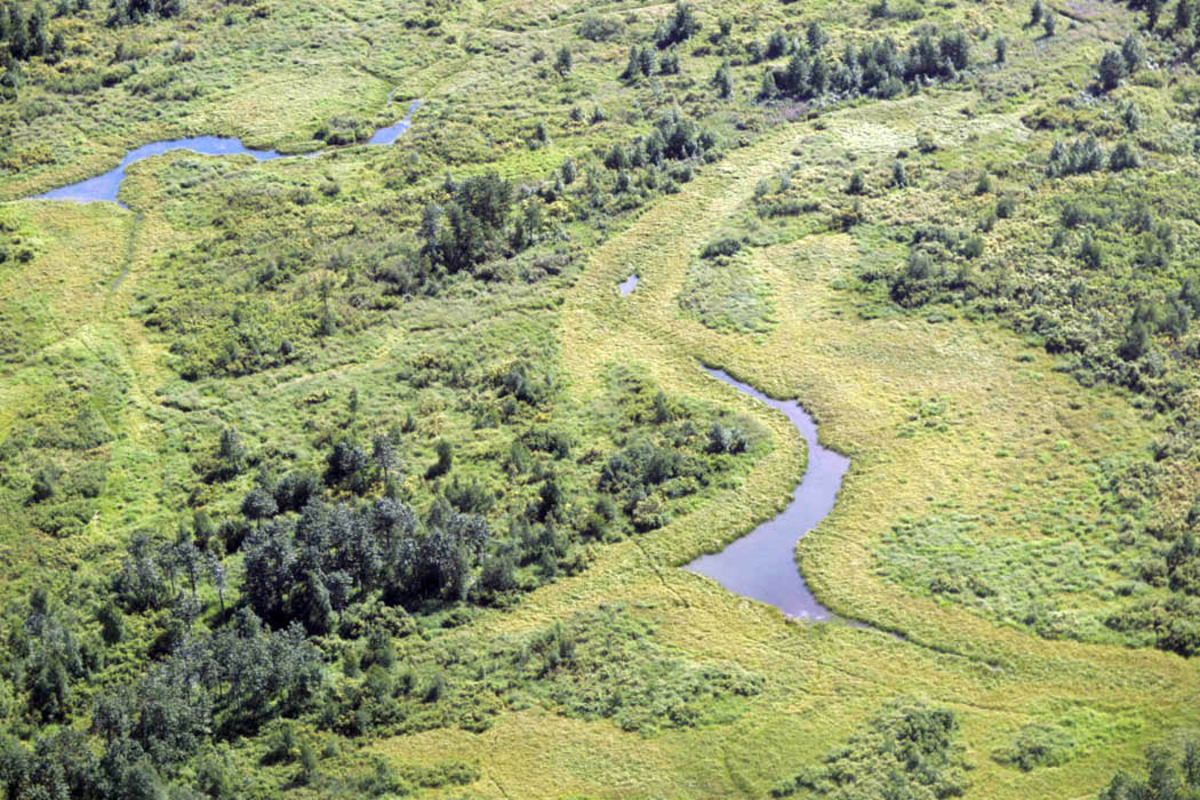 Togiak National Wildlife Refuge | FWS.gov