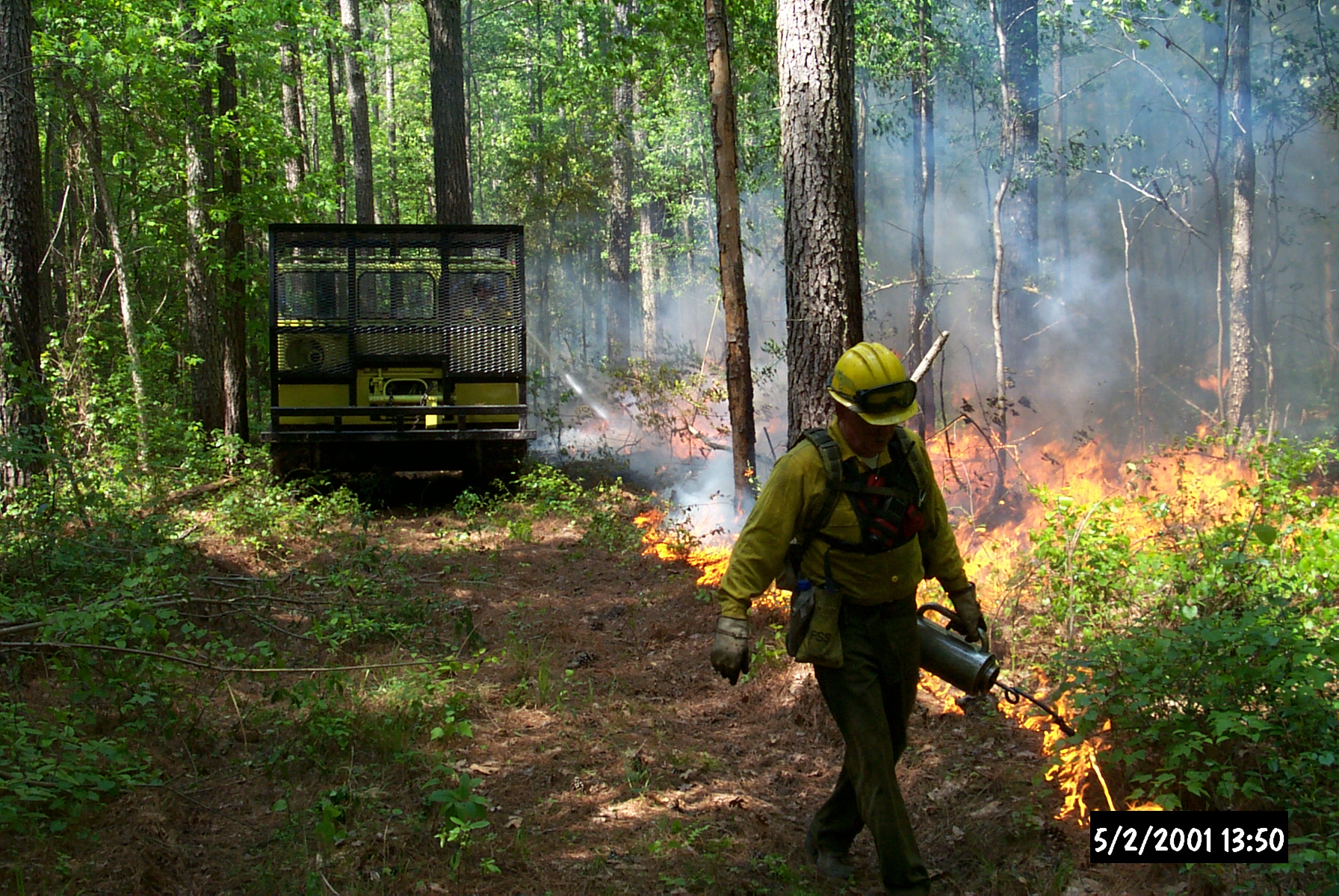 Prescribed fire operations | FWS.gov