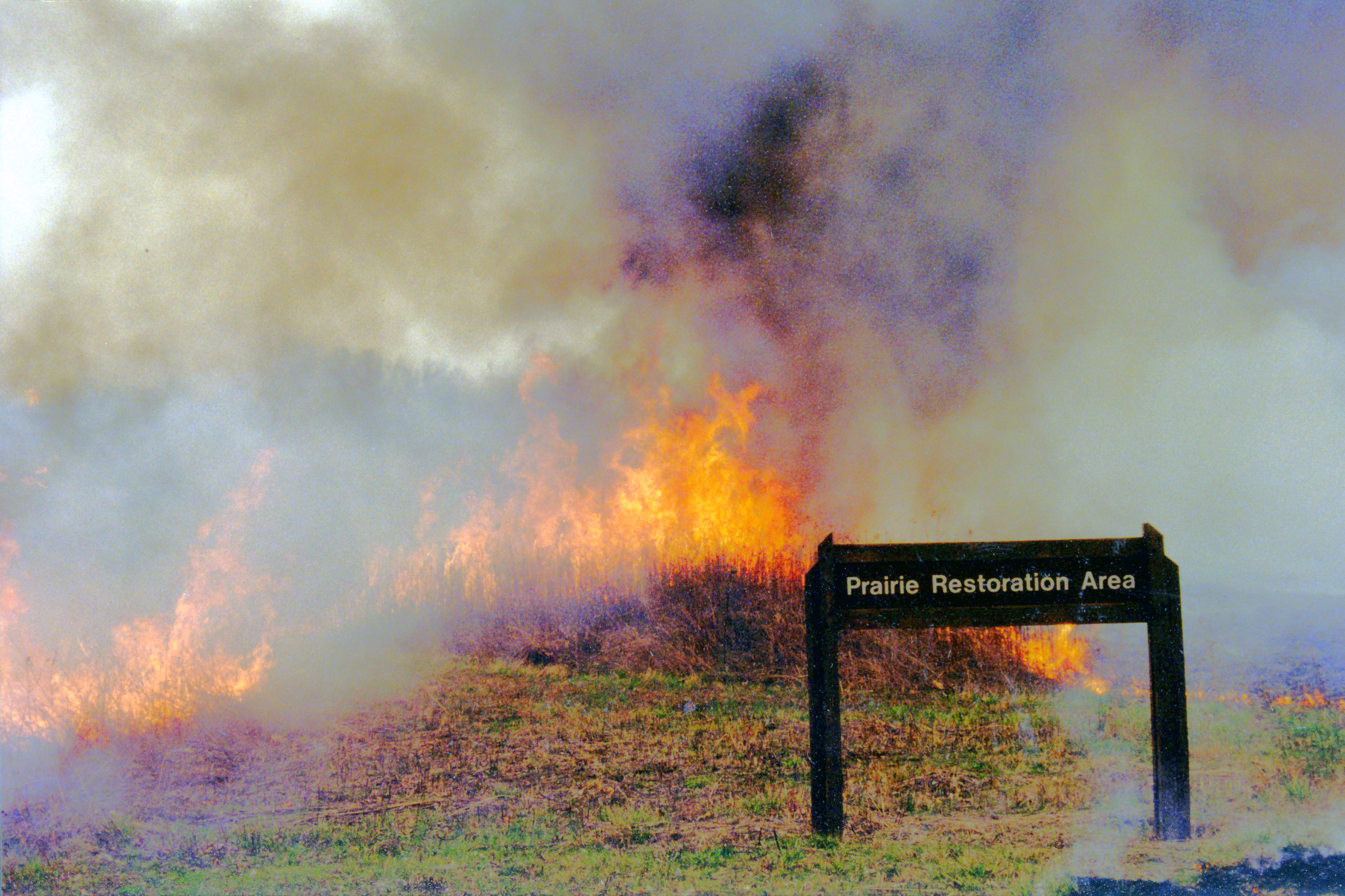 Prairie restoration burn | FWS.gov