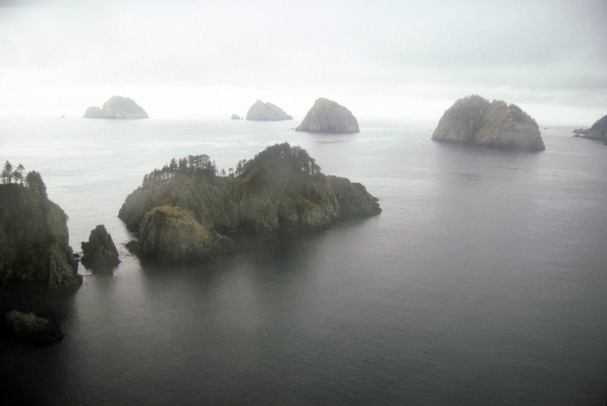 Chiswell Island Group, Gulf of Alaska | FWS.gov