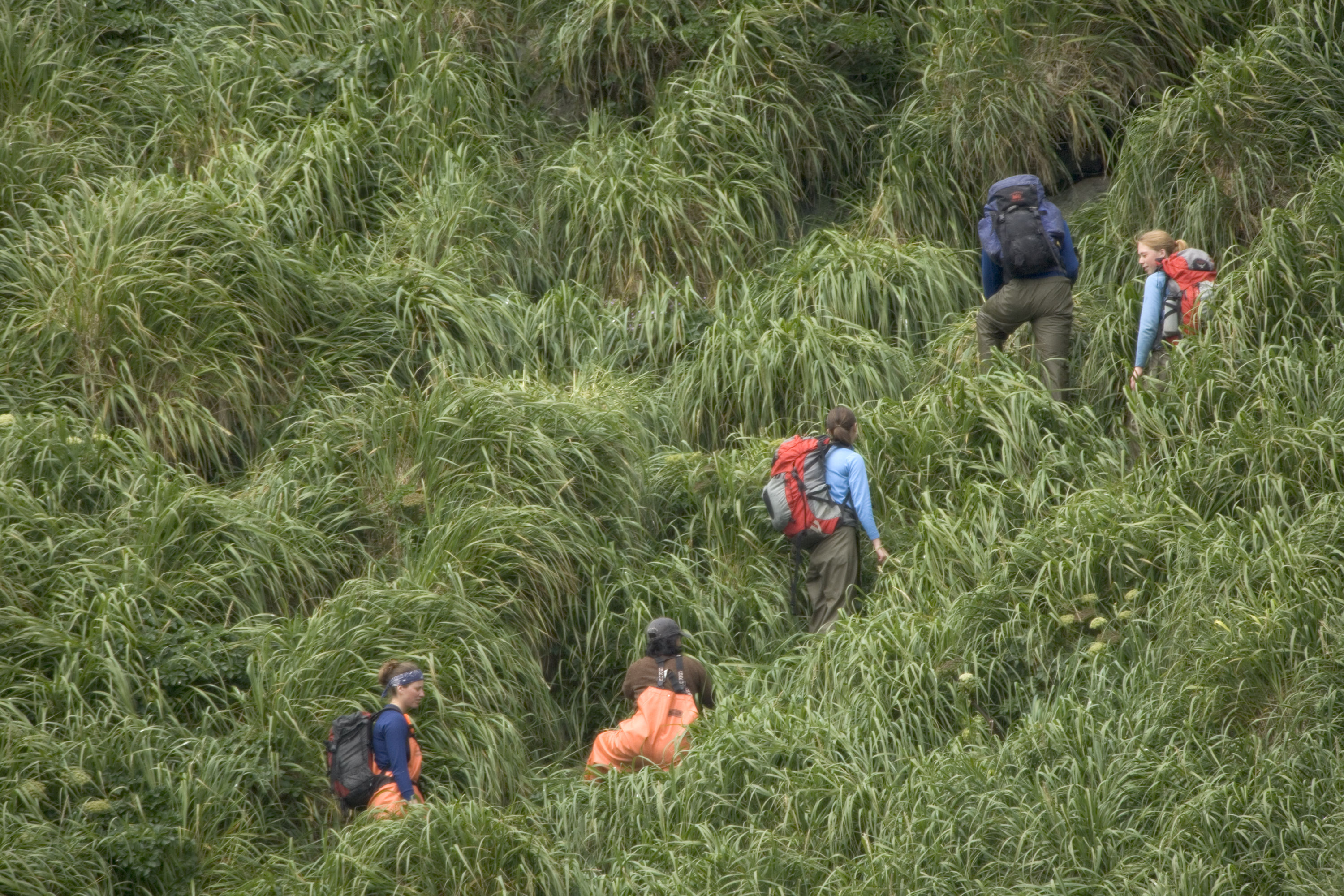 Ulak Island | FWS.gov