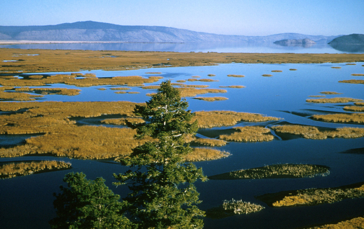 Upper Klamath National Wildlife Refuge | FWS.gov
