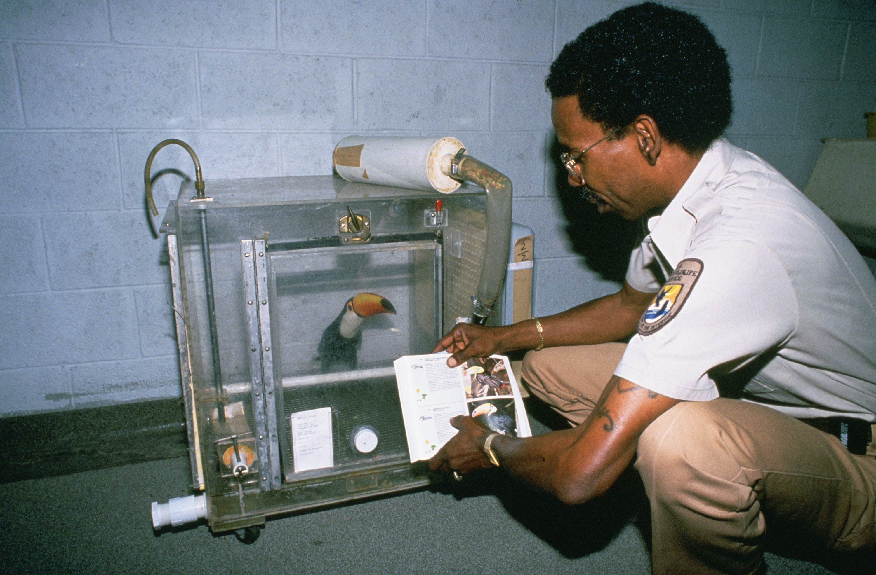 Tucan Bird Quarantine | FWS.gov