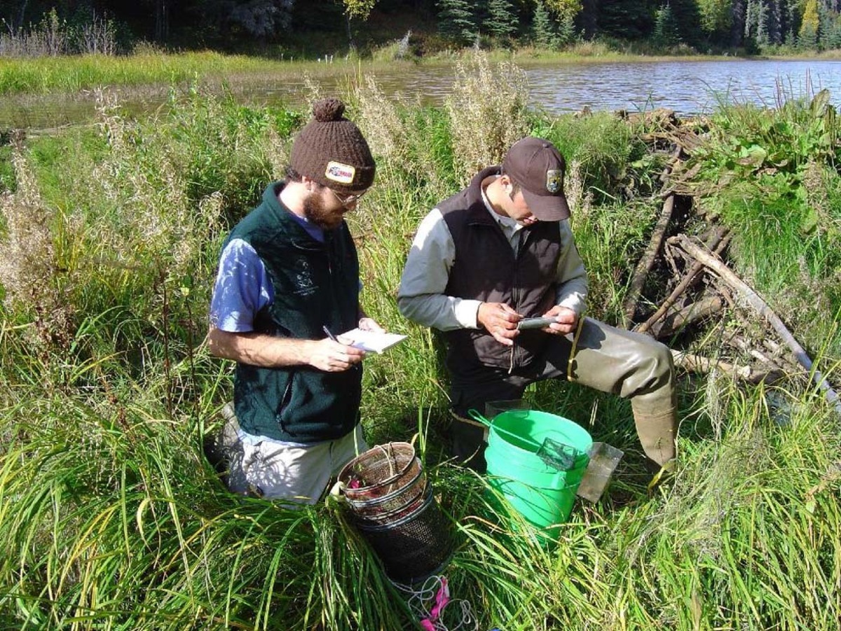 Fish Research | FWS.gov