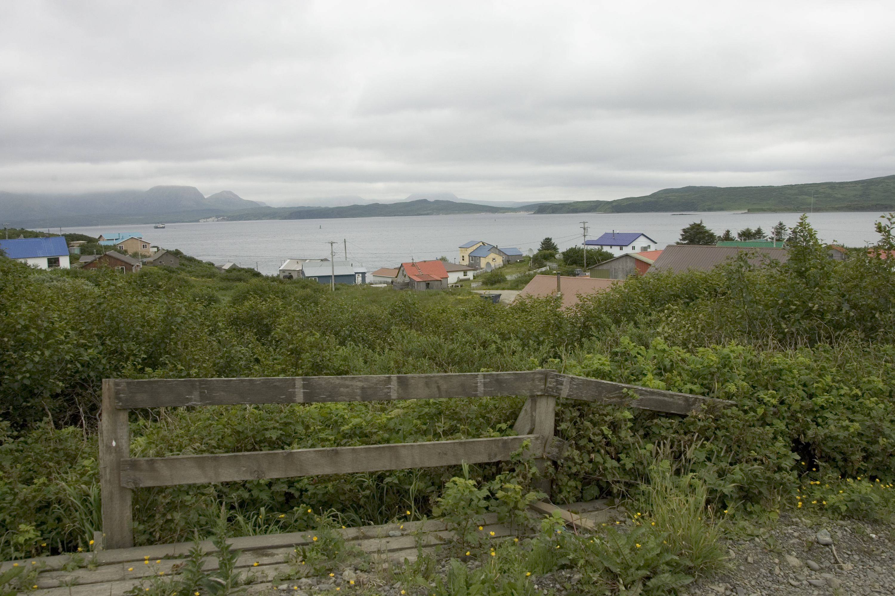 Sand Point, Alaska | FWS.gov