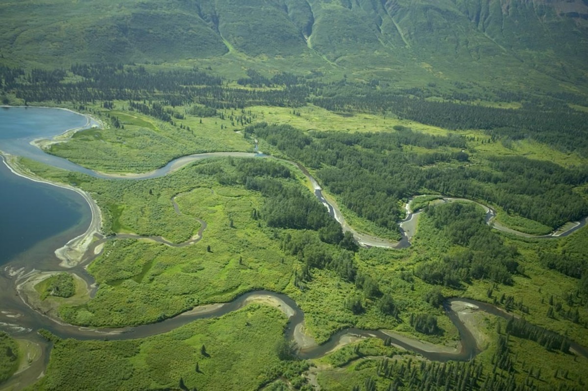 Meandering river | FWS.gov