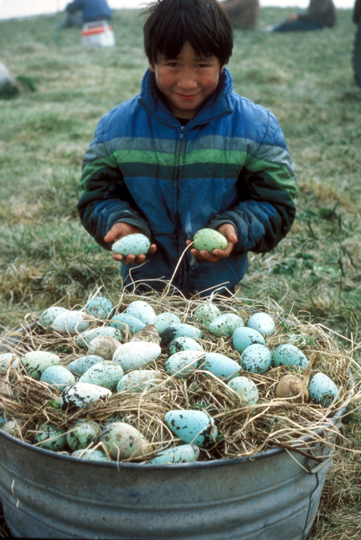 St. Paul Island local with Murre egg harvest | FWS.gov