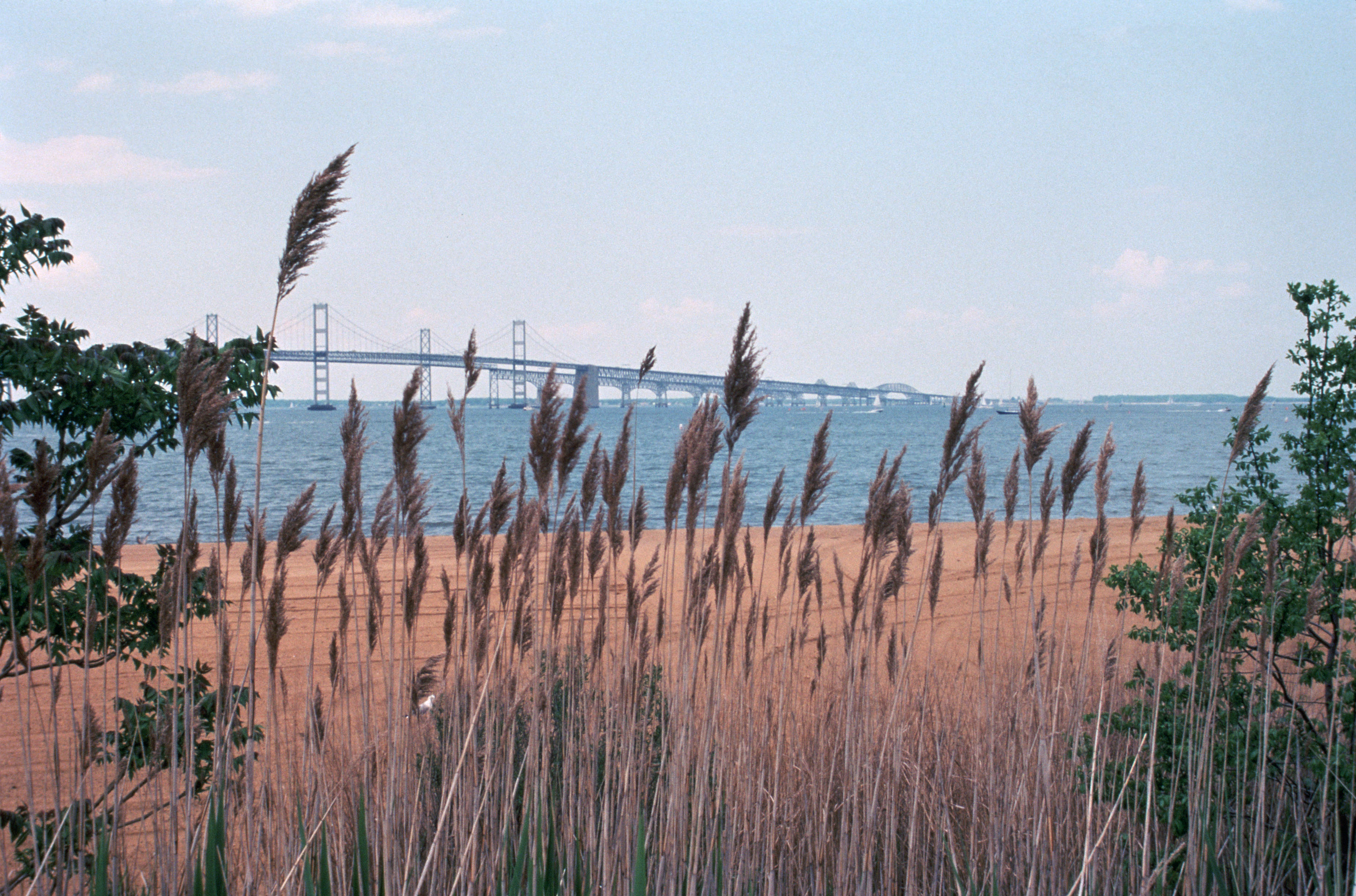 Chesapeake Bay | FWS.gov