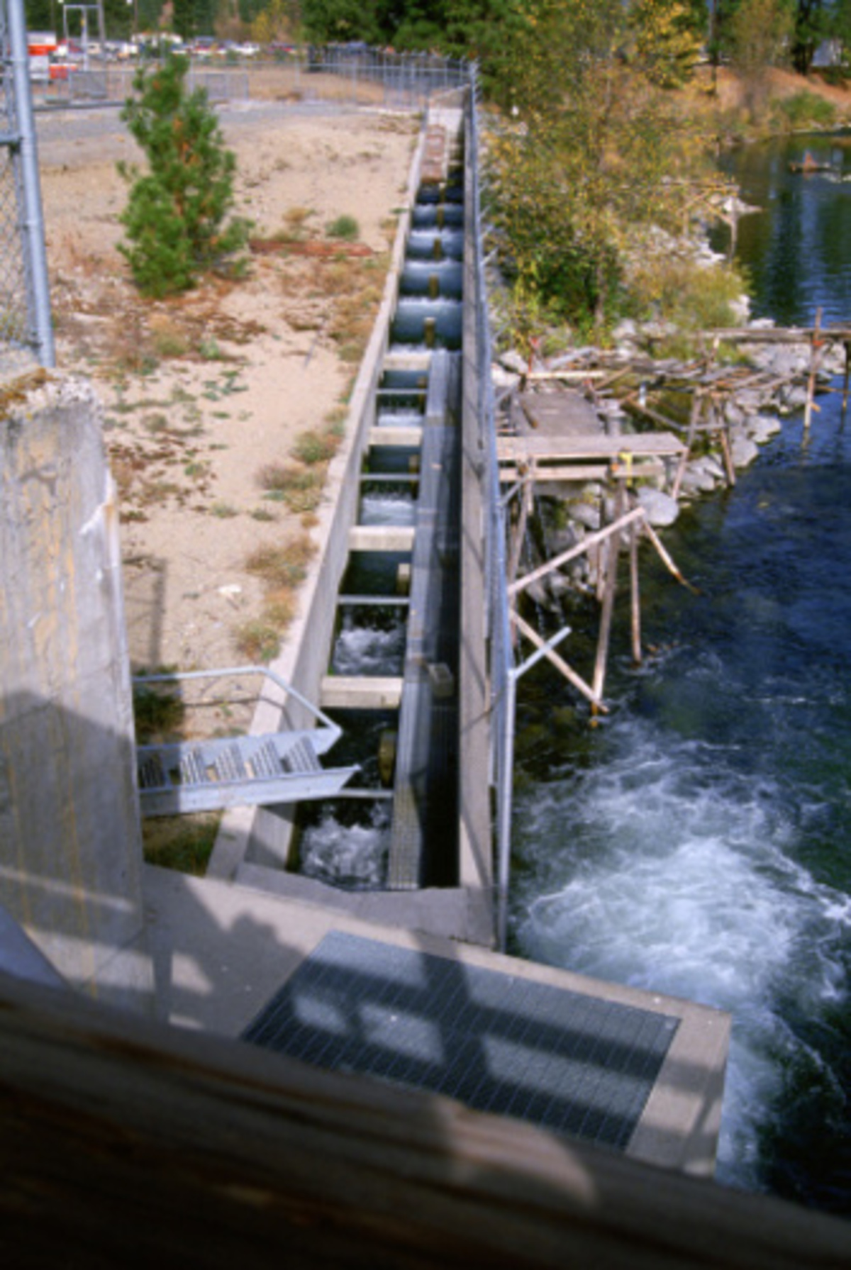 Fish ladder at Leavenworth National Fish Hatchery | FWS.gov
