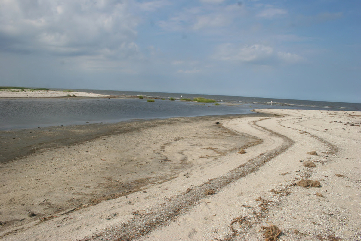 Beach at Prime Hook National Wildlife Refuge | FWS.gov