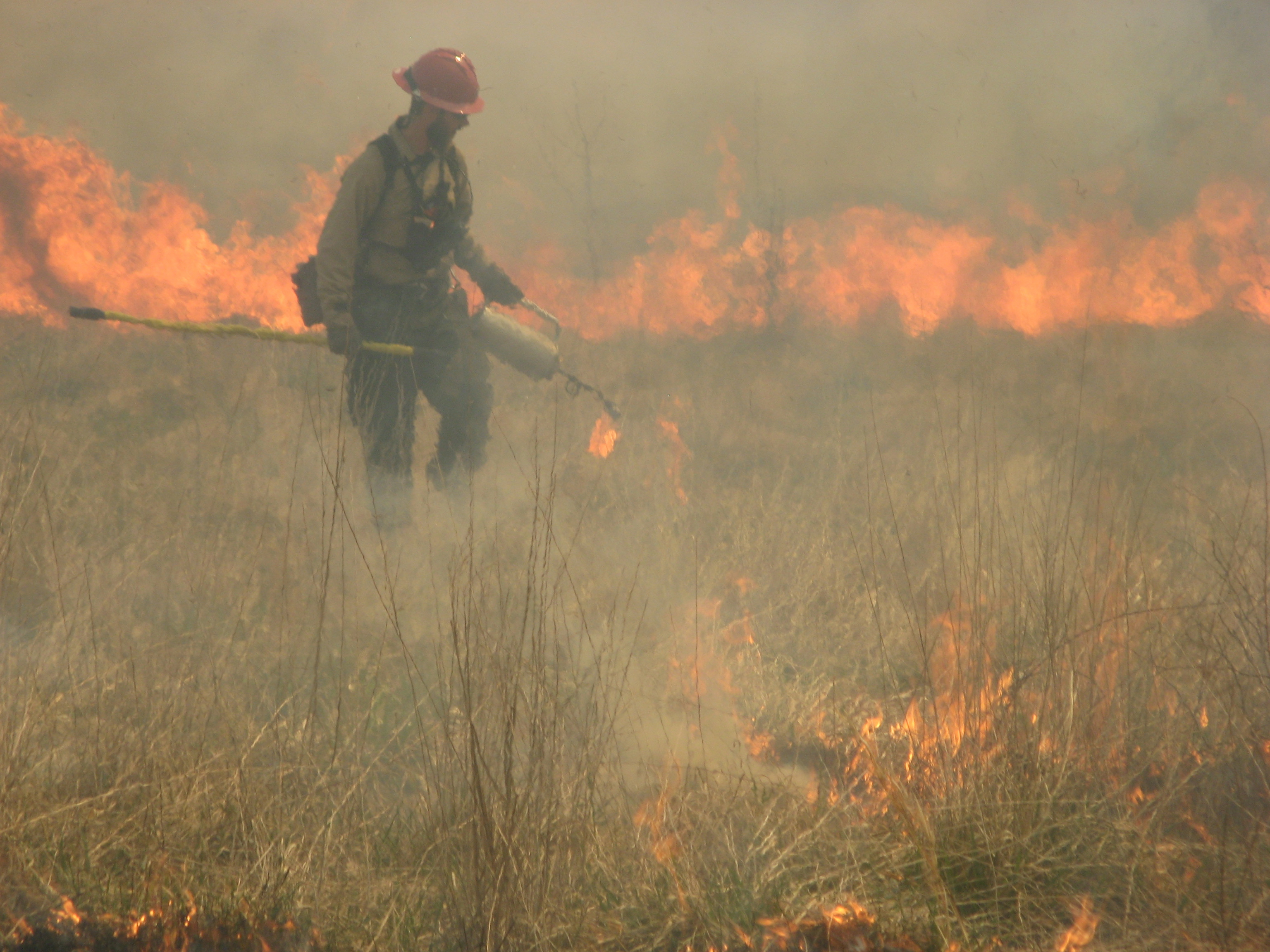 Firefighter Lighting Controlled Burn | FWS.gov