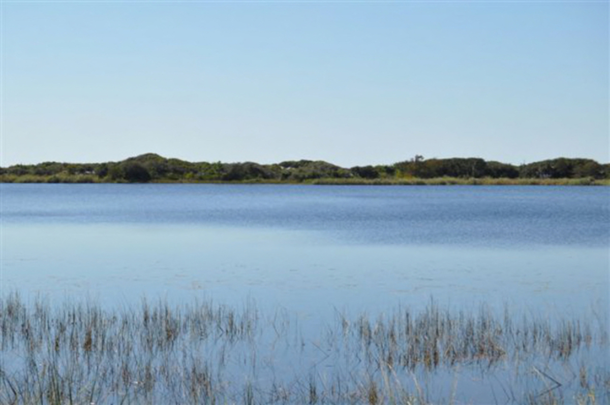 Gulf Coast Recovery Act Project | FWS.gov