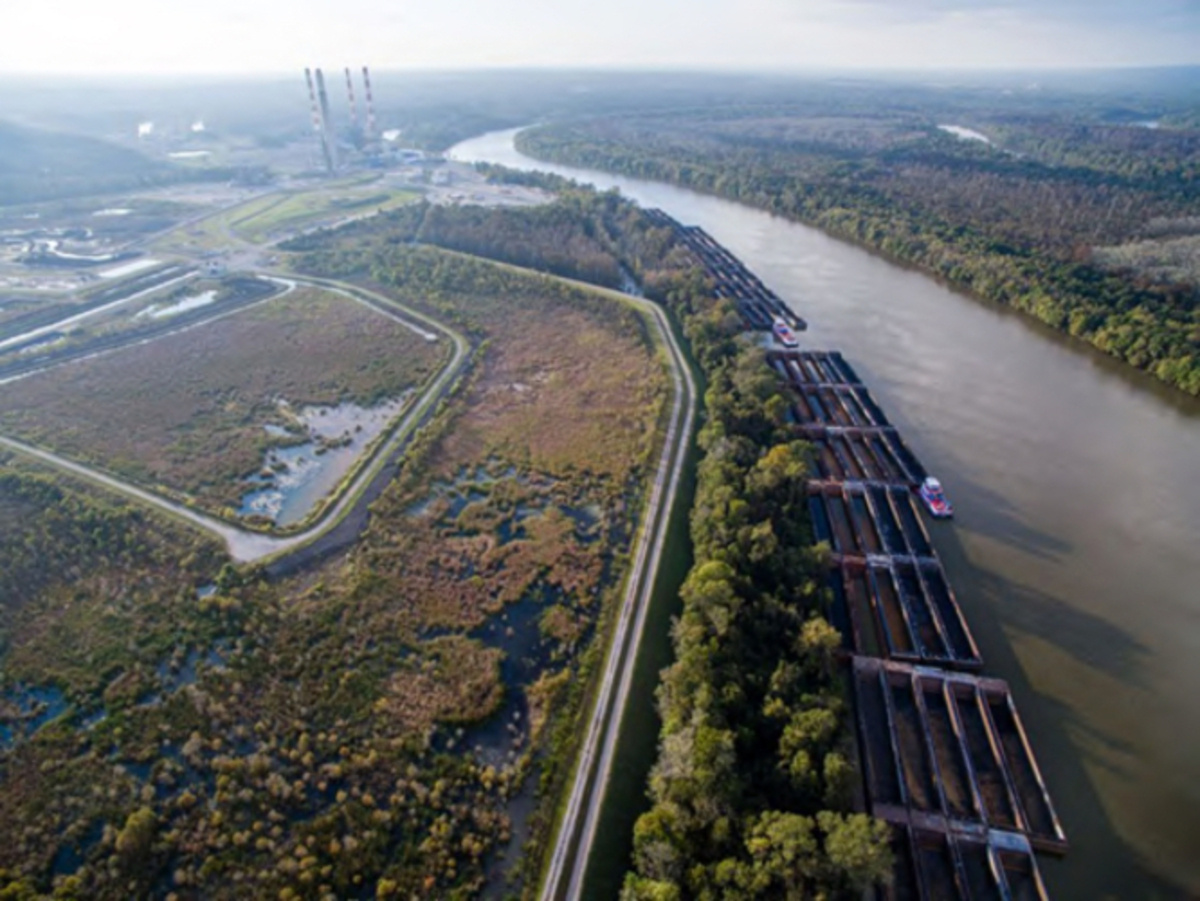 Coal ash endangers 'America's Amazon' Mobile-Tensaw Delta | FWS.gov