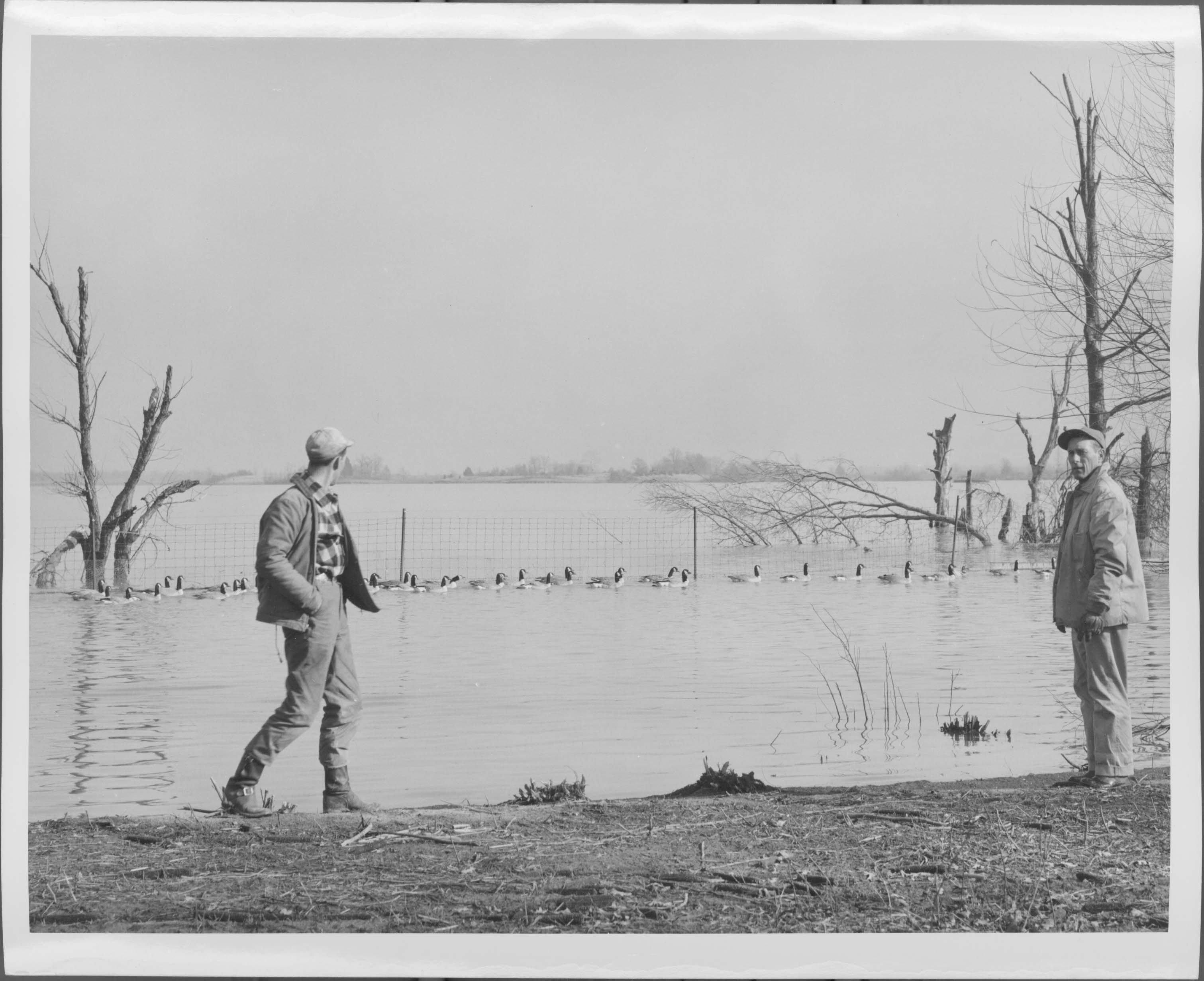 Two refuge personnel stand before a pen of Canada Geese which they had ...