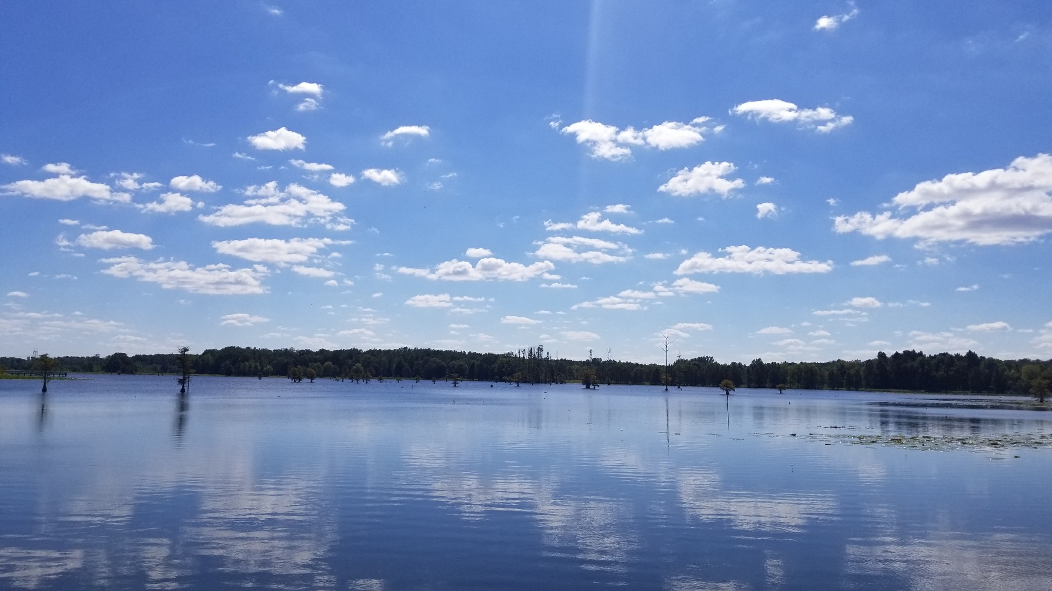 Oneal Lake | FWS.gov