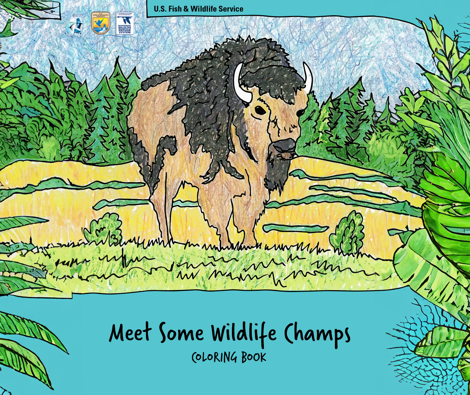 Meet Some Wildlife Champs Coloring Book | FWS.gov