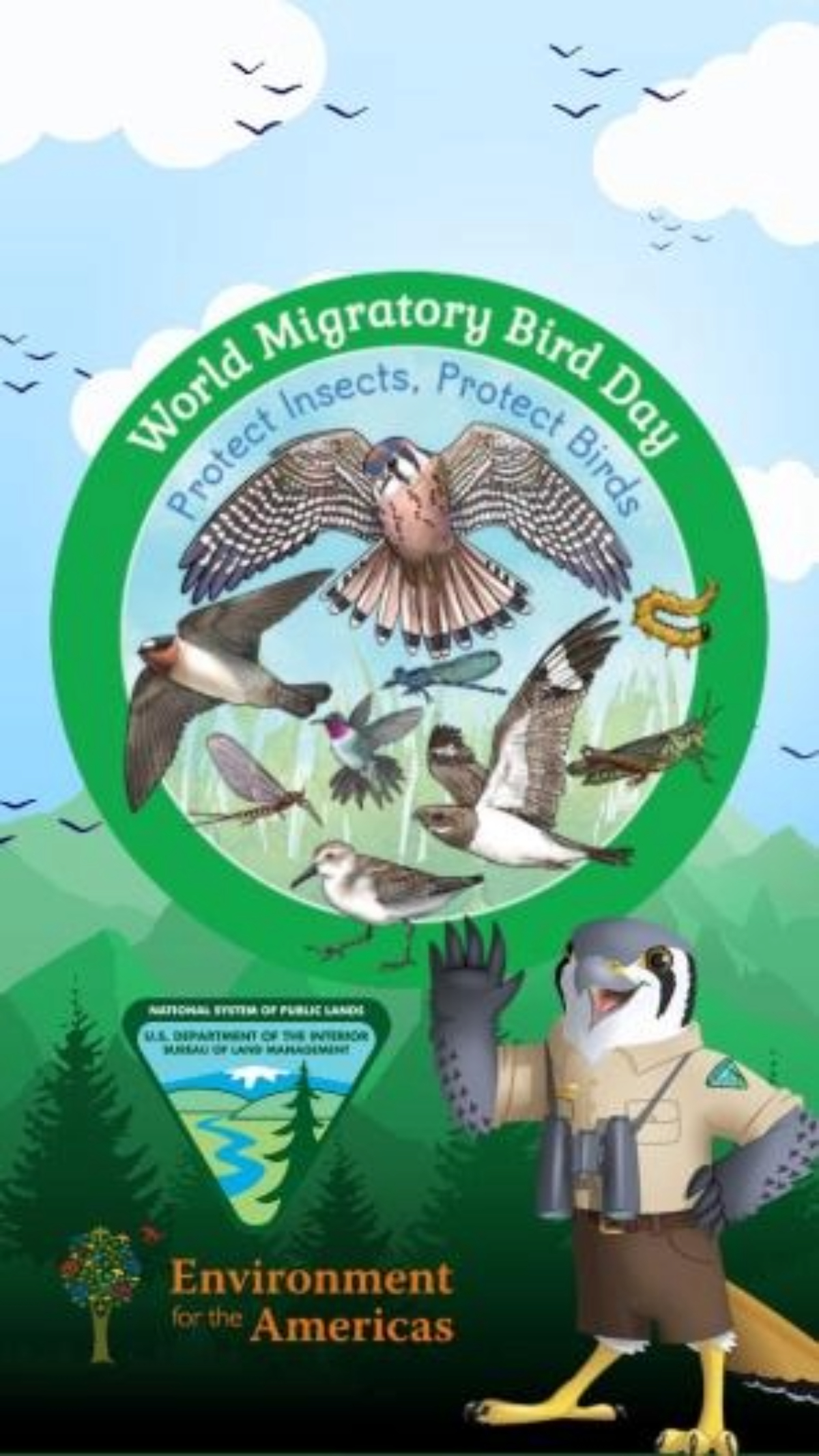 Agent Kestrel graphic for World Migratory Bird Day | FWS.gov