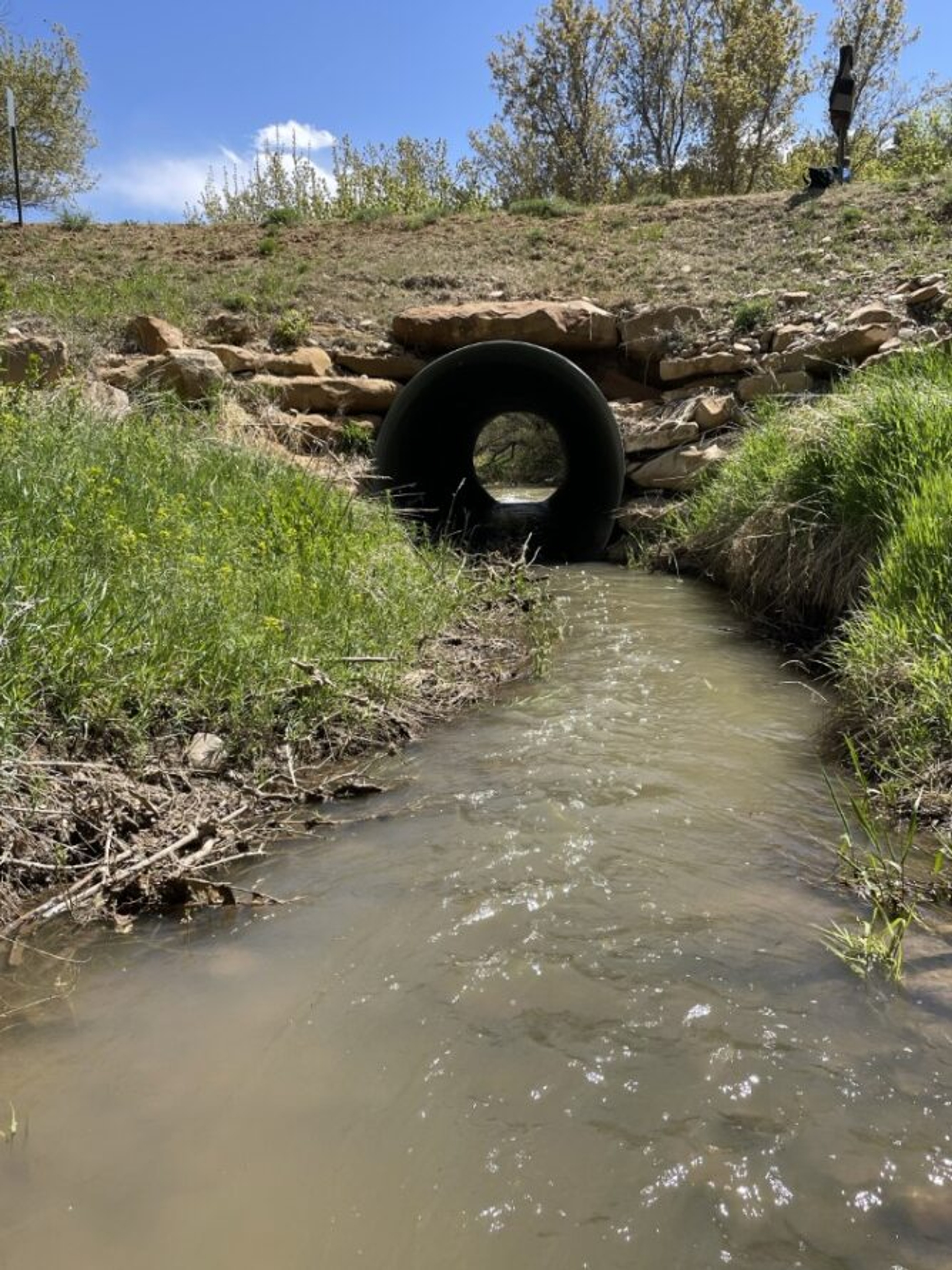 Cherry Creek Culvert | FWS.gov