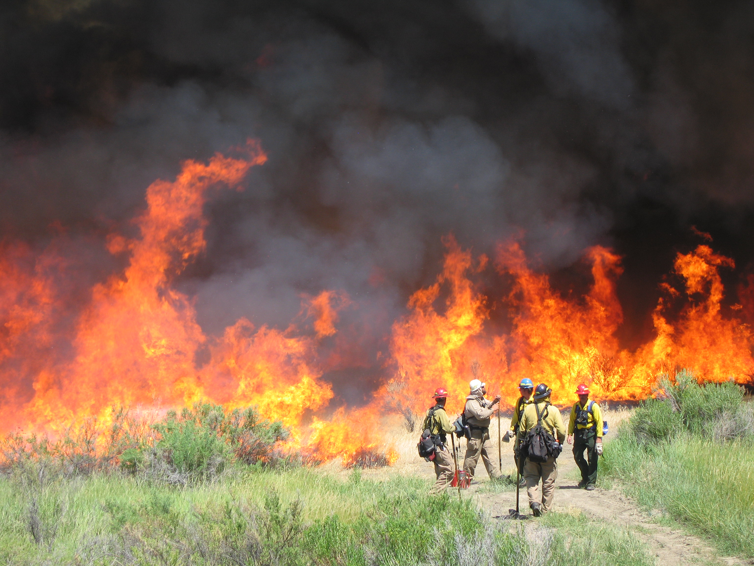 Prescribed Fire in Knox Bottom | FWS.gov