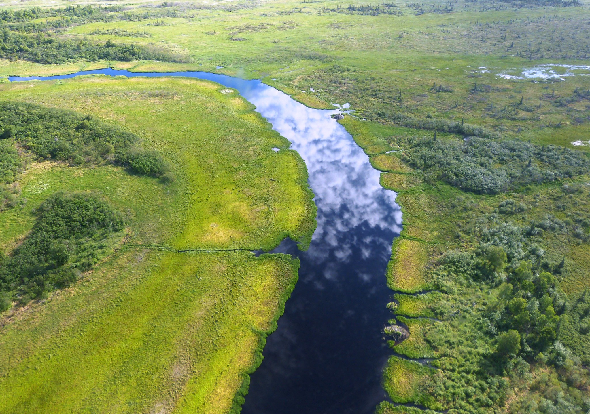 Yukon Delta Wetlands | FWS.gov