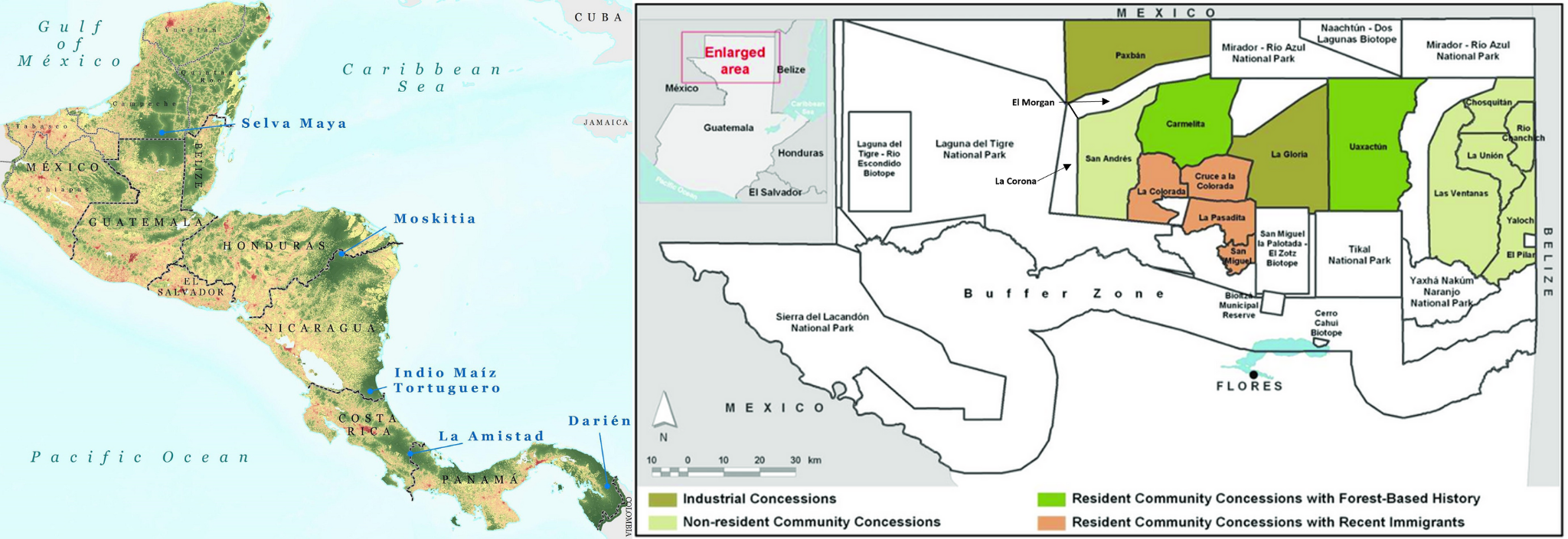 Five Great Forests in Mesoamerica and Forestry concessions in Guatemala ...