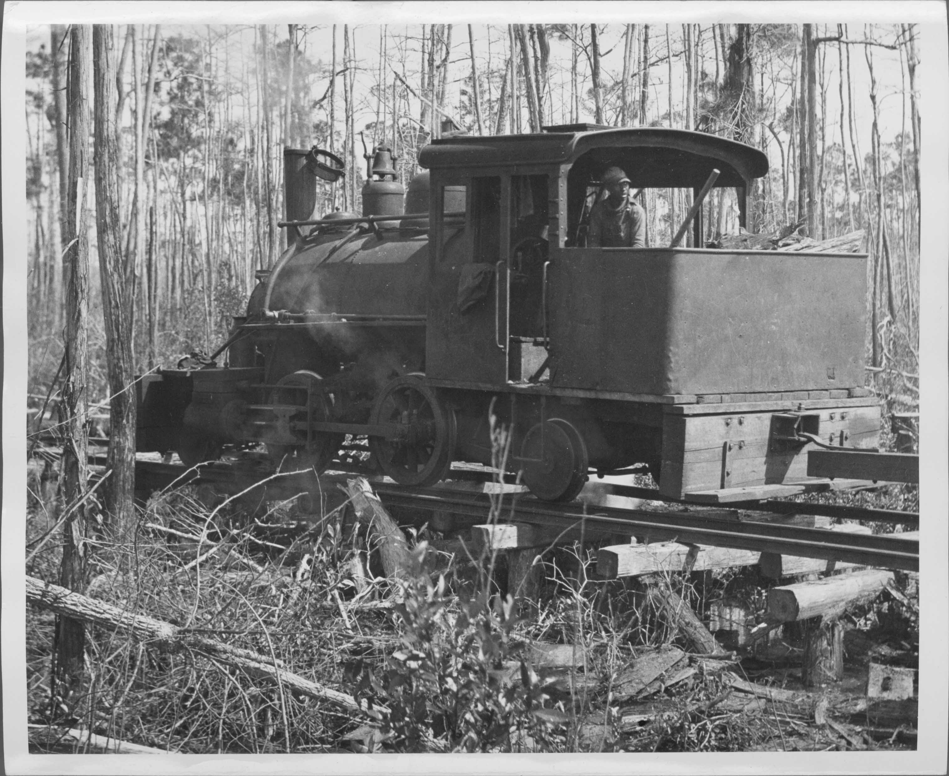 Logging Railroad at Okefenokee National Wildlife Refuge, 1936 | FWS.gov