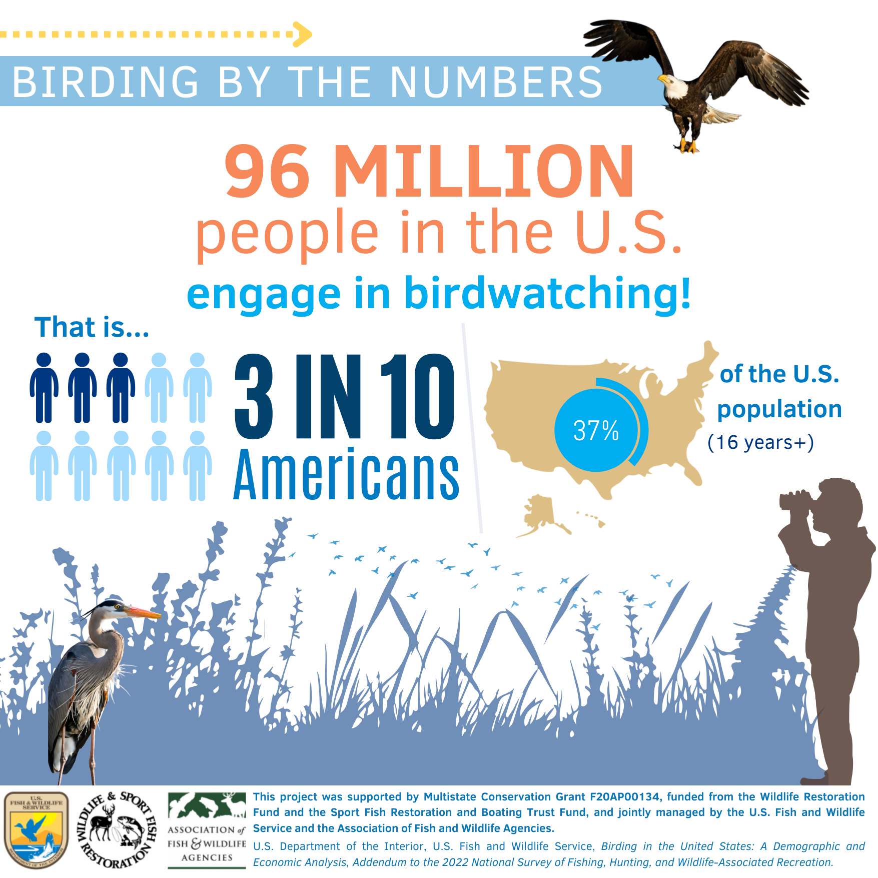 96 Million People in the U.S. engage in Birdwatching | FWS.gov