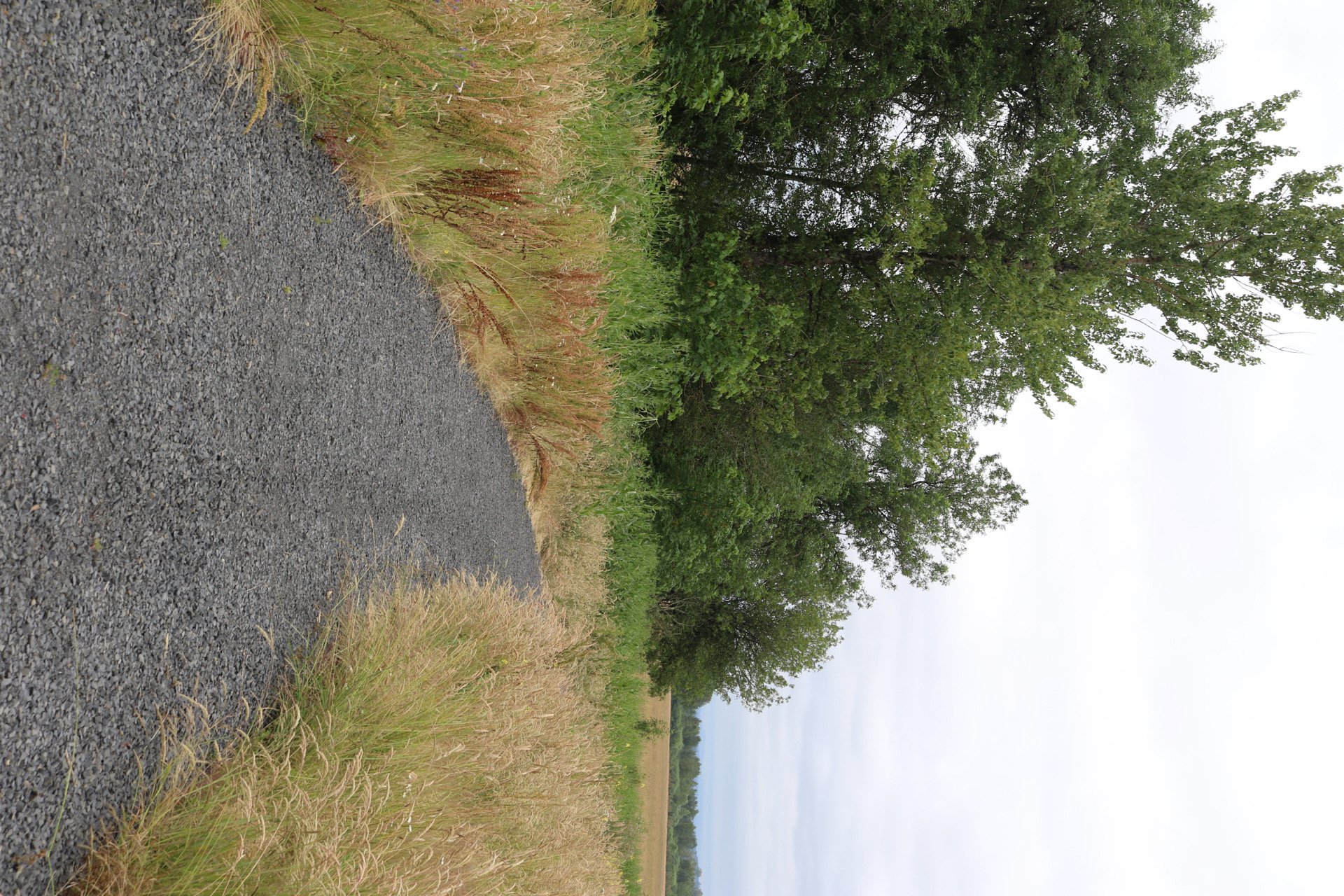 Ankeny Hill Nature Center Big Loop Trail | FWS.gov