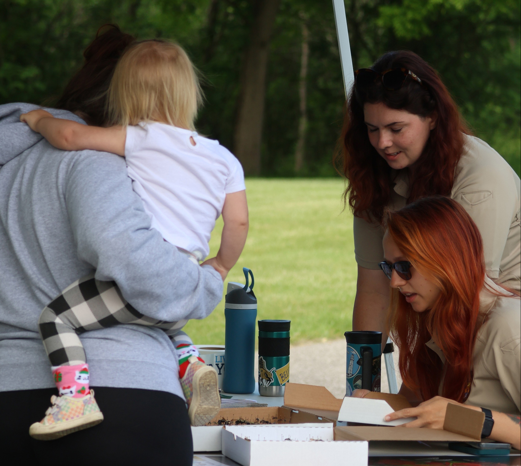 Educating visitors about native bees | FWS.gov