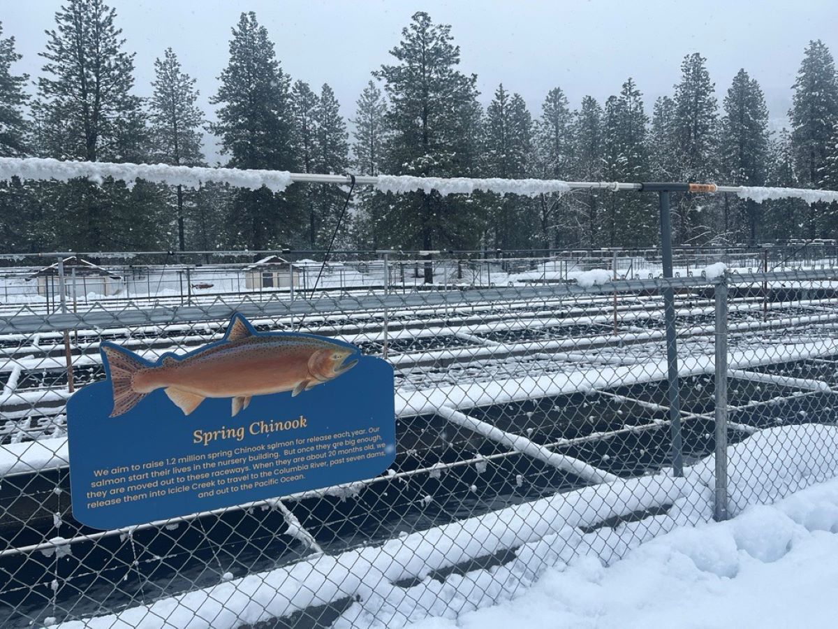 Leavenworth National Fish Hatchery Raceways in Snow | FWS.gov
