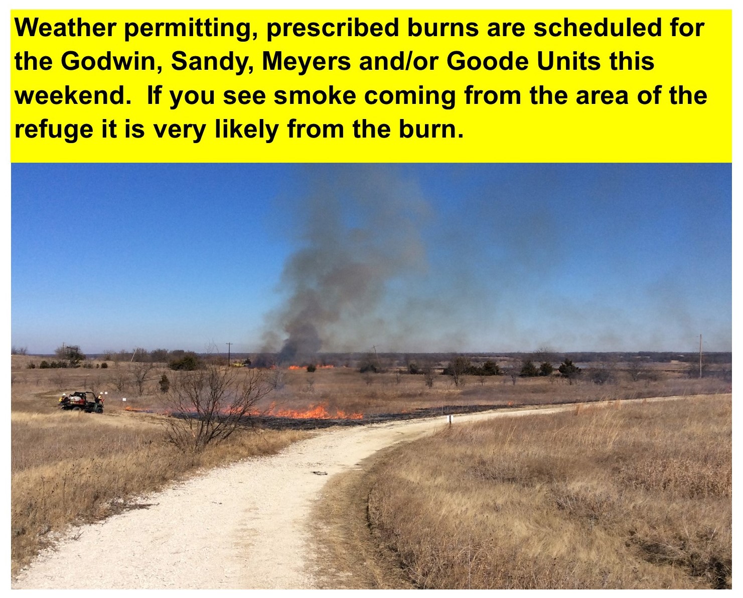 Prescribed Burn | FWS.gov