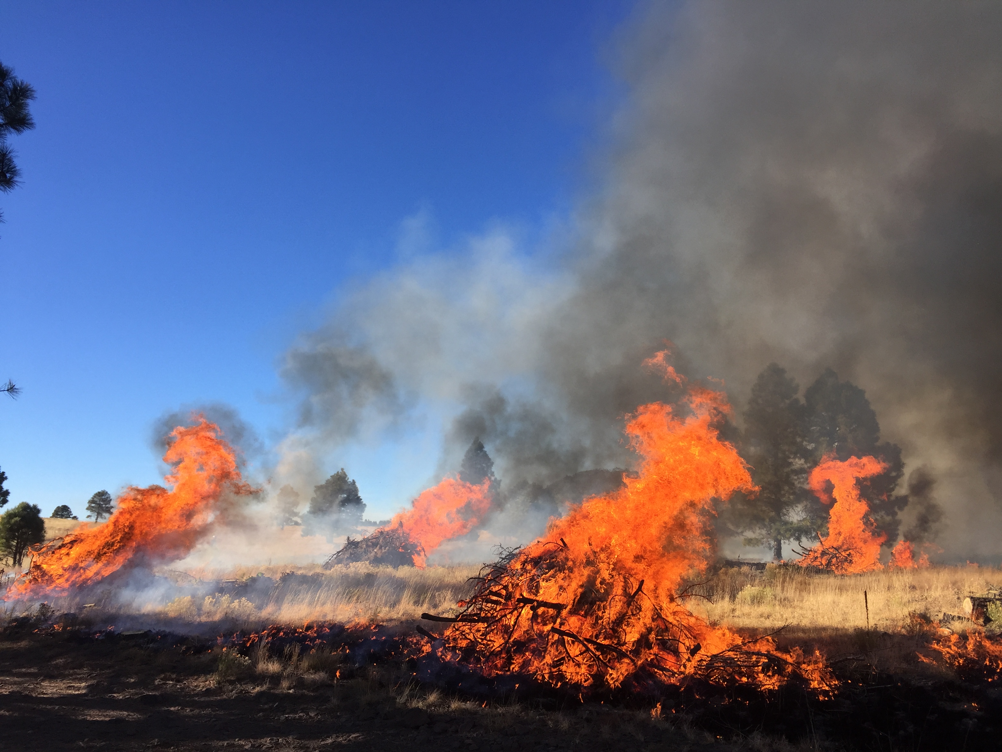 Prescribed Fire and Pile Burning | FWS.gov
