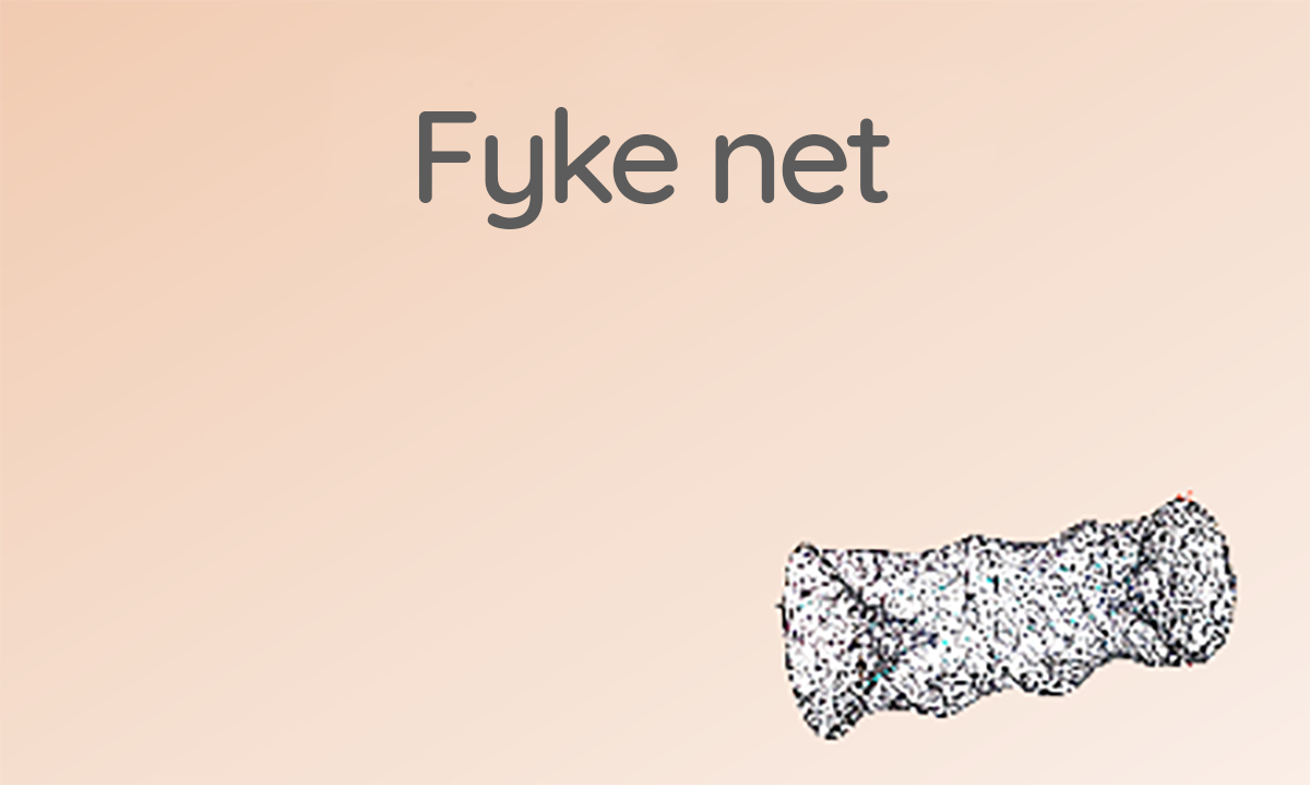 Fyke net | FWS.gov
