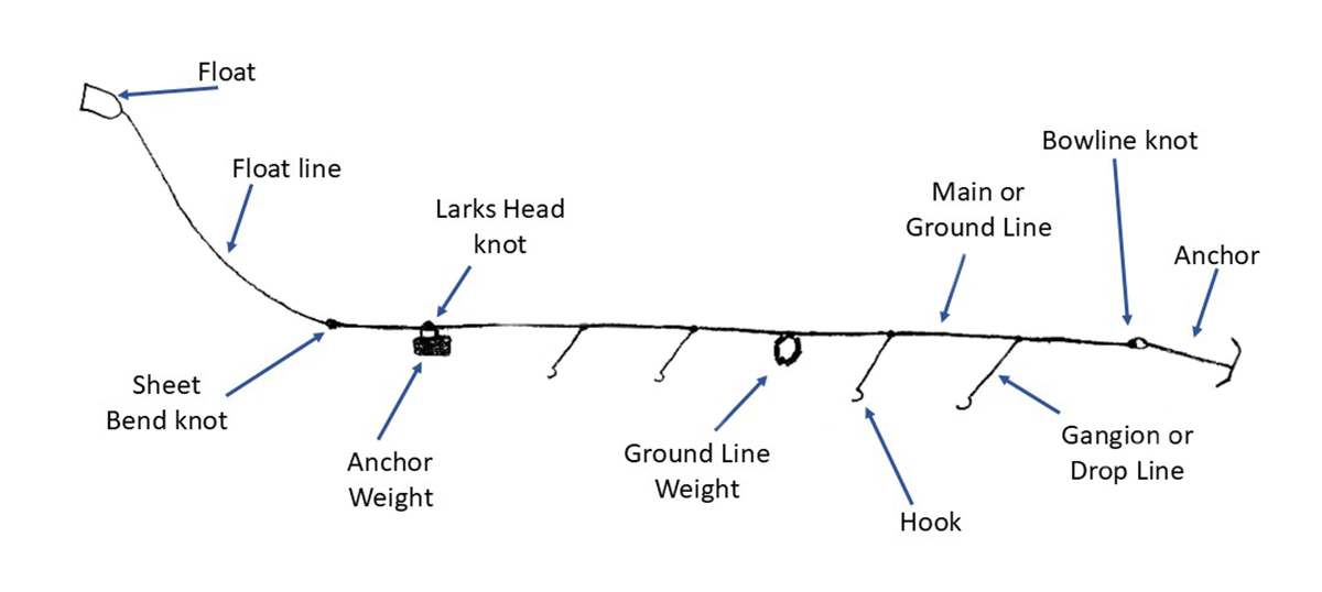 Trotline anatomy | FWS.gov