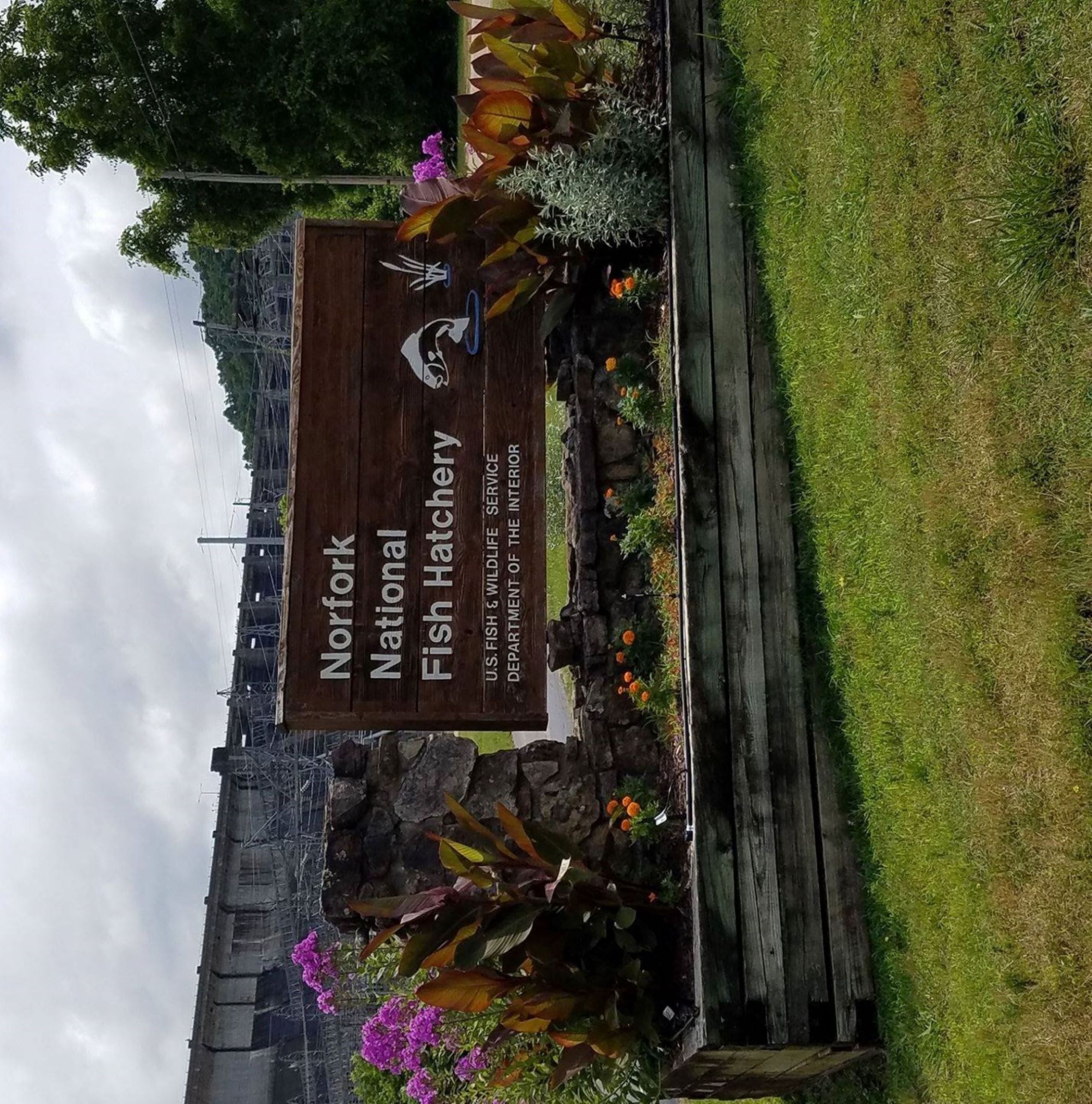 Norfork National Fish Hatchery Entrance Sign | FWS.gov