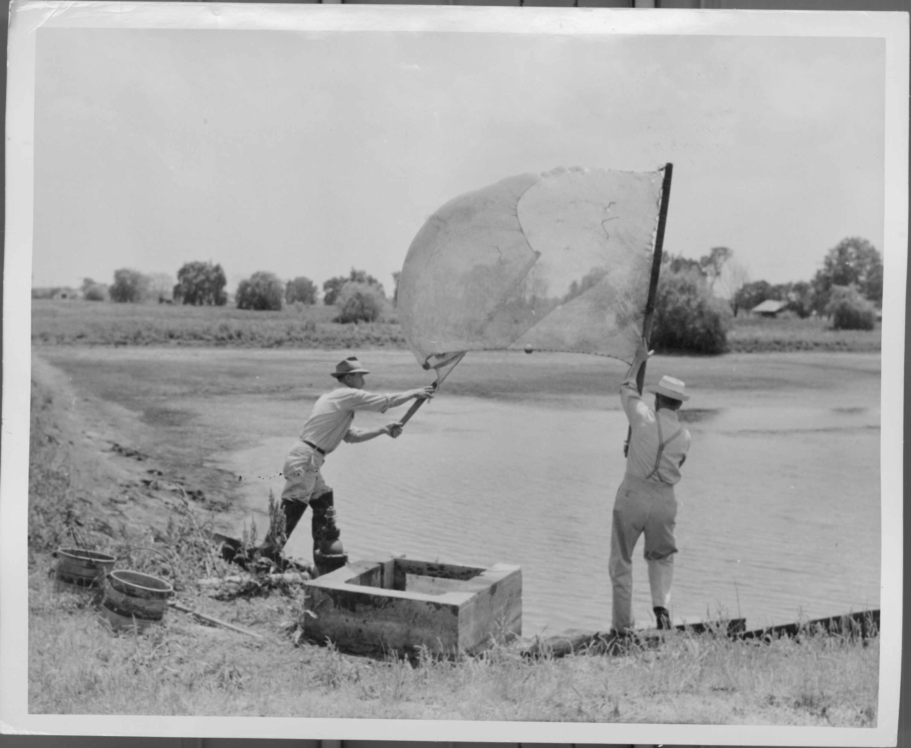 Seining at Corning Fish Cultural Station, 1949 | FWS.gov