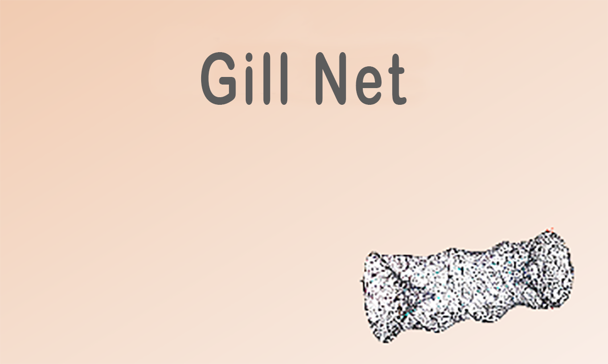 Gill Net | FWS.gov