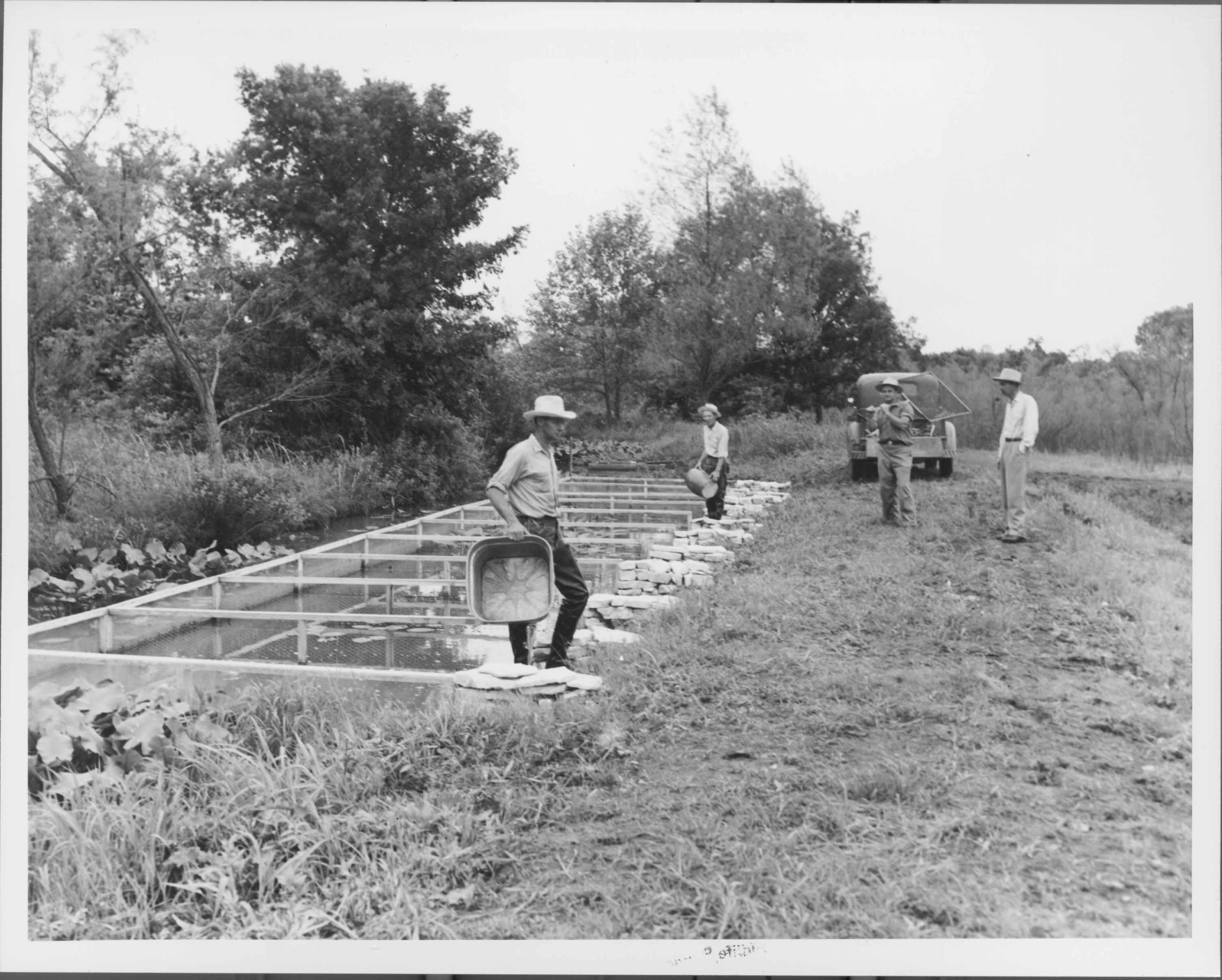 Channel Catfish Brood Pens at Tishomingo National Fish Hatchery in 1949 ...