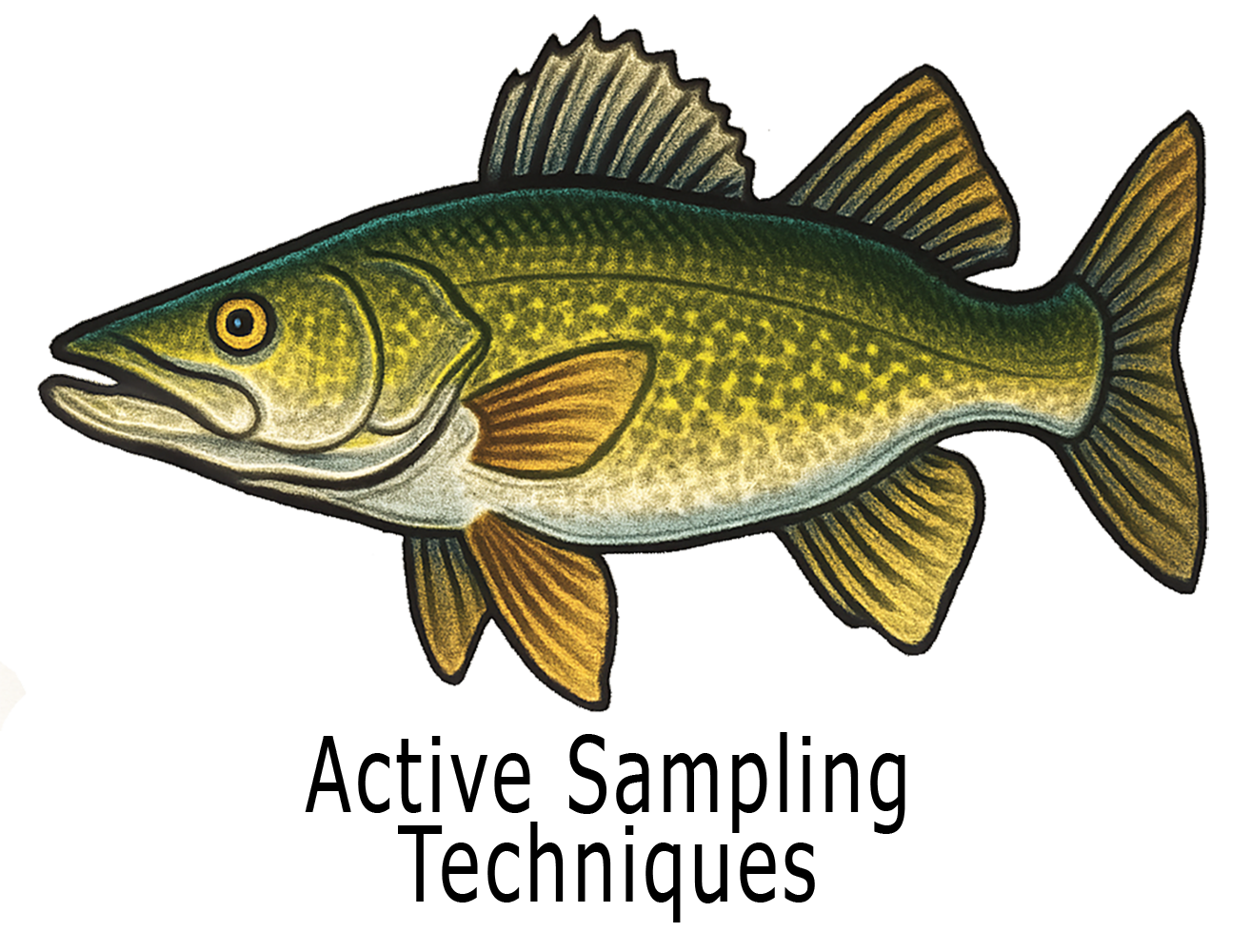 Active Sampling Techniques | FWS.gov