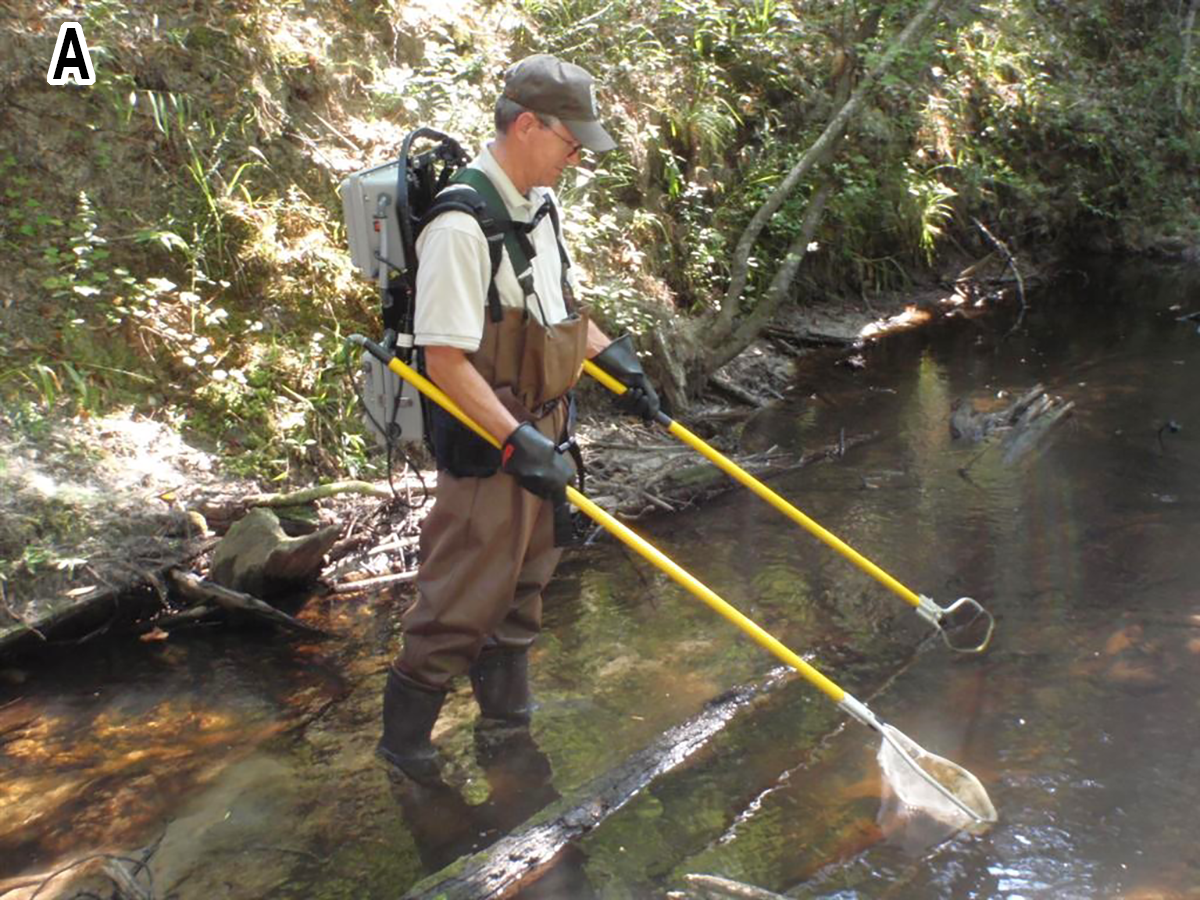 Backpack shocker with two handheld electrodes | FWS.gov