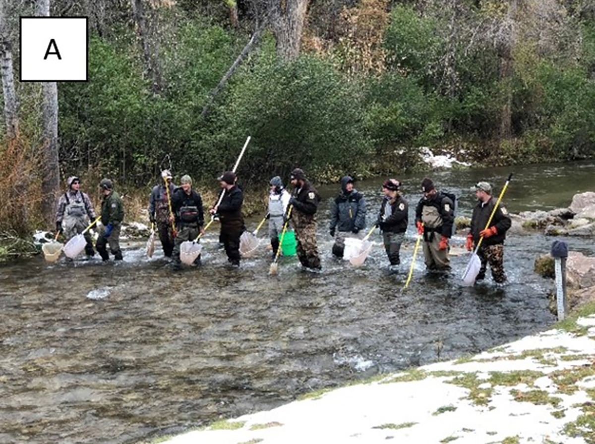 Deployment of side-by-side backpack electrofishers | FWS.gov