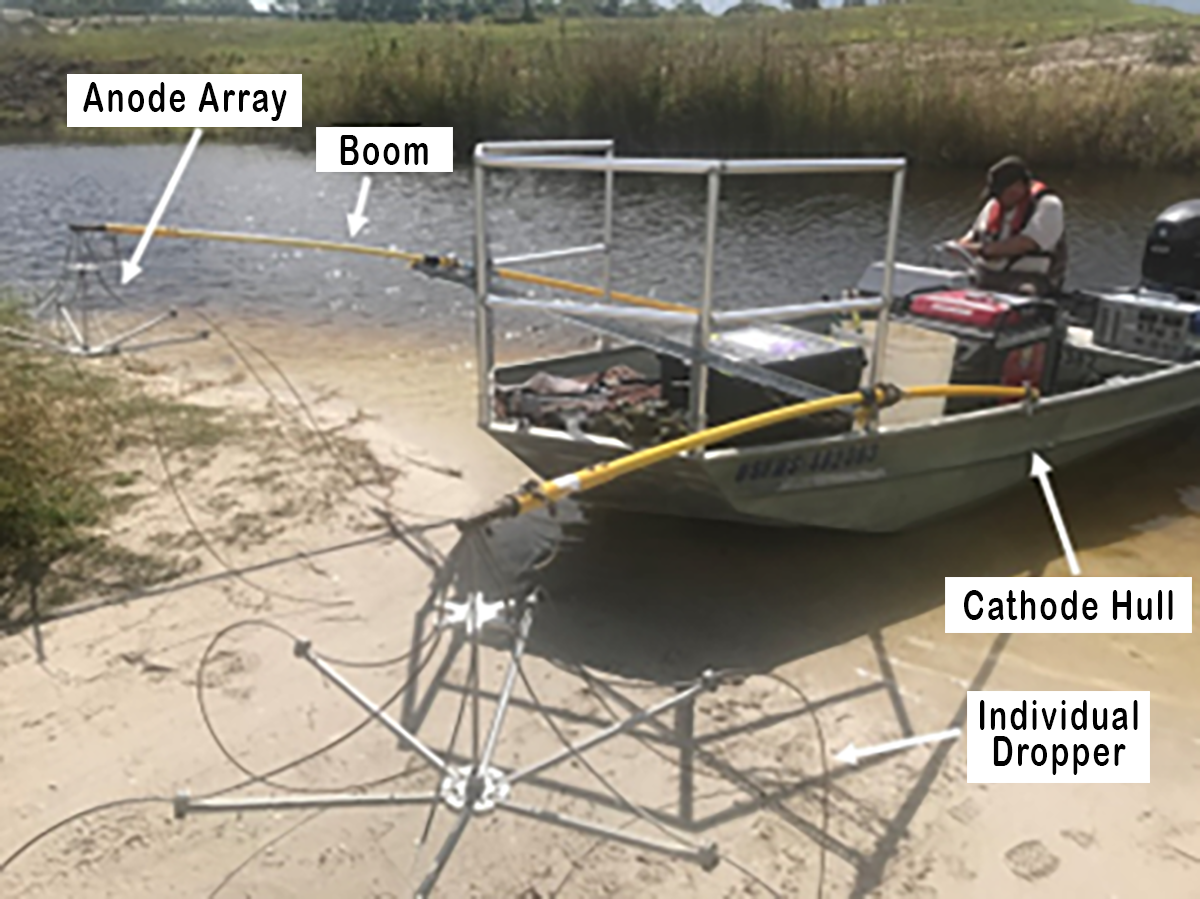 Electrofishing Example | FWS.gov