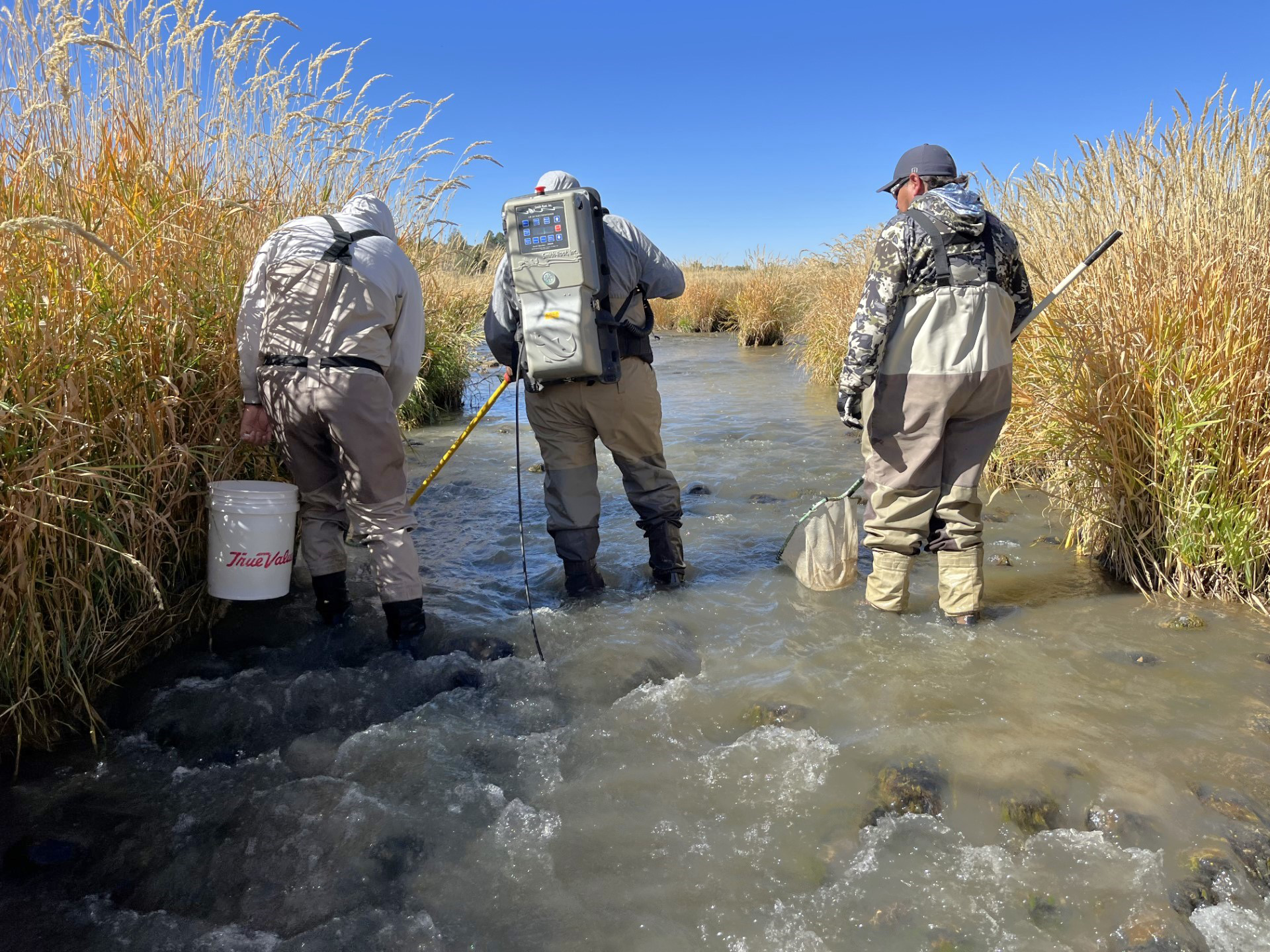 Backpack crew of three with a rattail cathode and bucket for holding ...